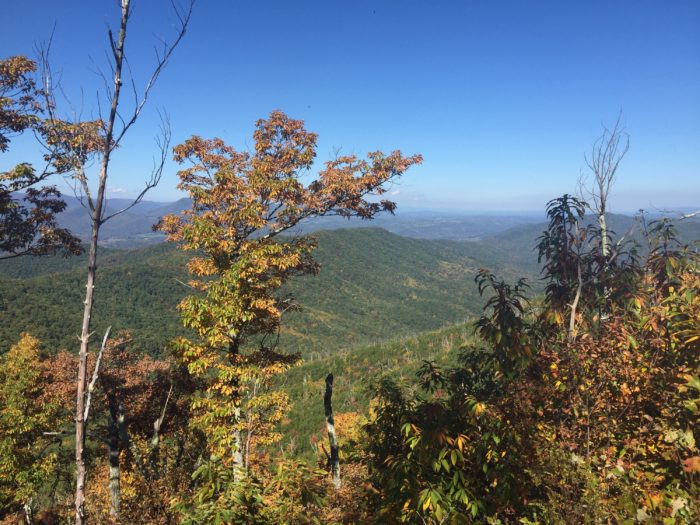 Halfway Through Virginia - The Trek