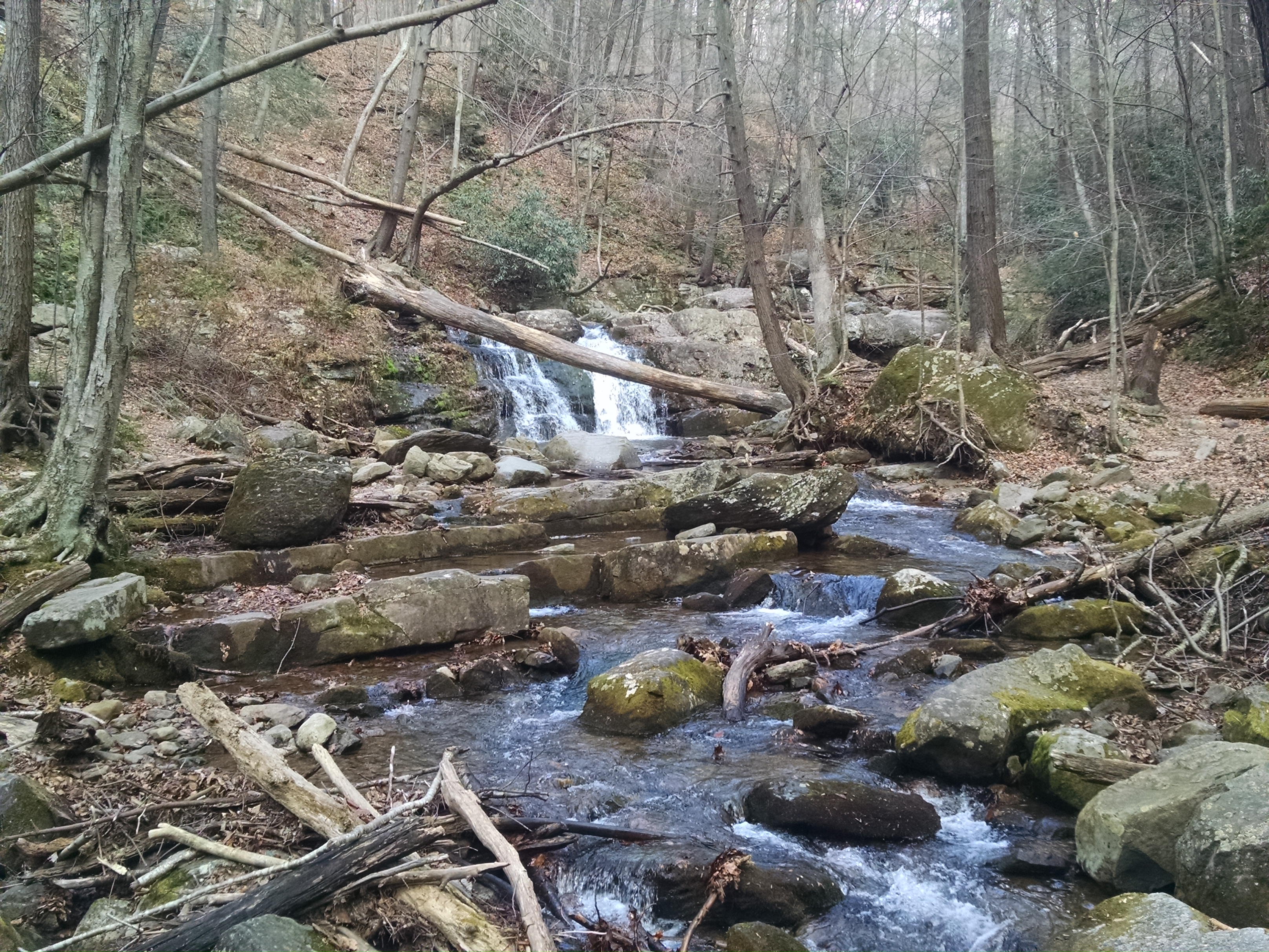 Exploring a Blue Blaze: Dunnfield Creek Trail, NJ - The Trek