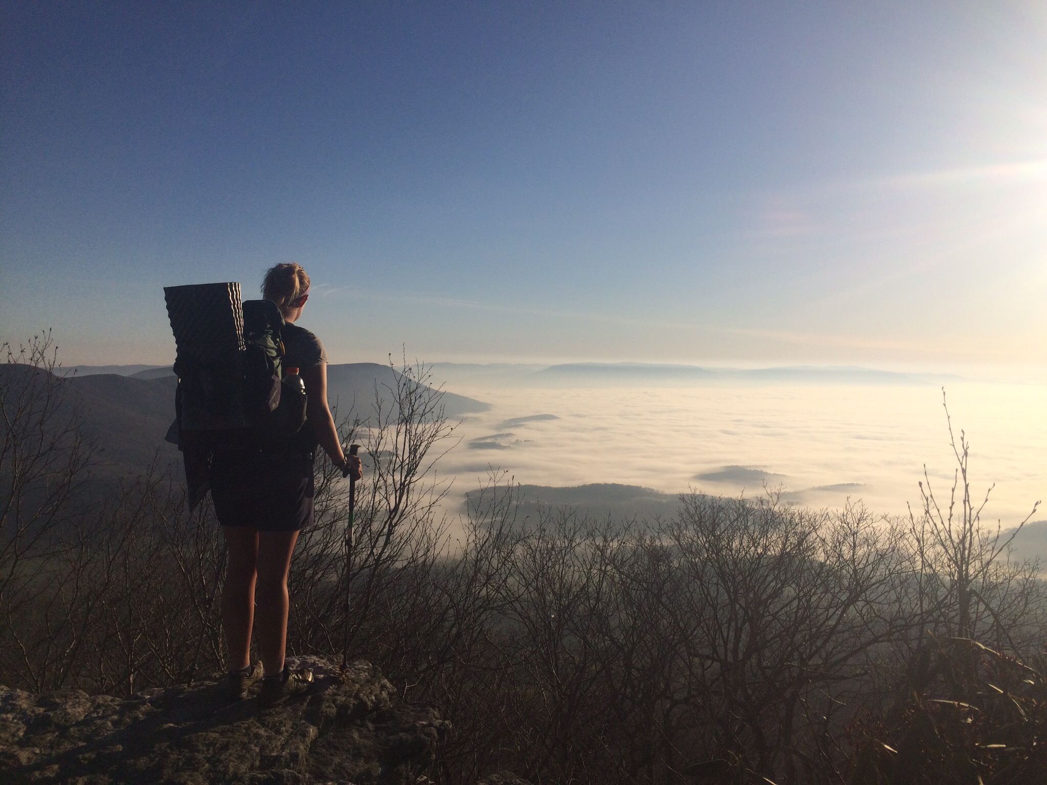 Virginia Line to Pearisburg, VA - The Trek