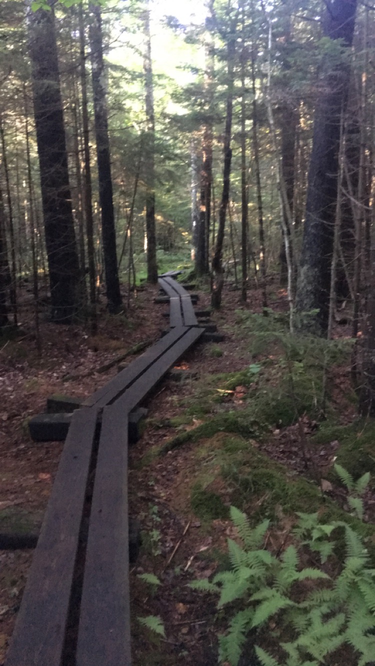 A Day In The Life of an AT Thru-Hiker - The Trek