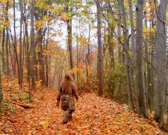 How the Mountains Helped Save Me - The Trek