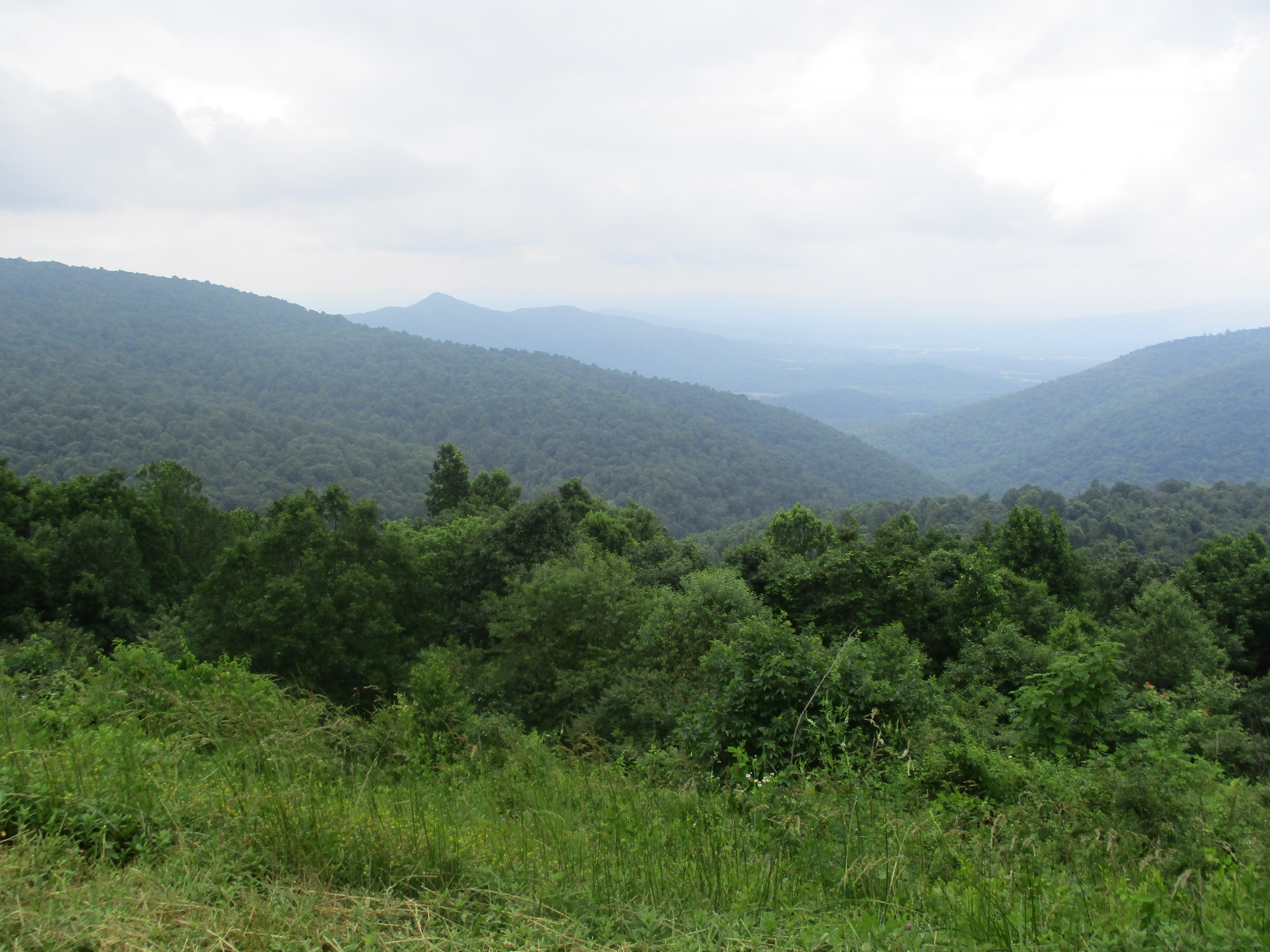 Achieving the 20 mile day... - The Trek