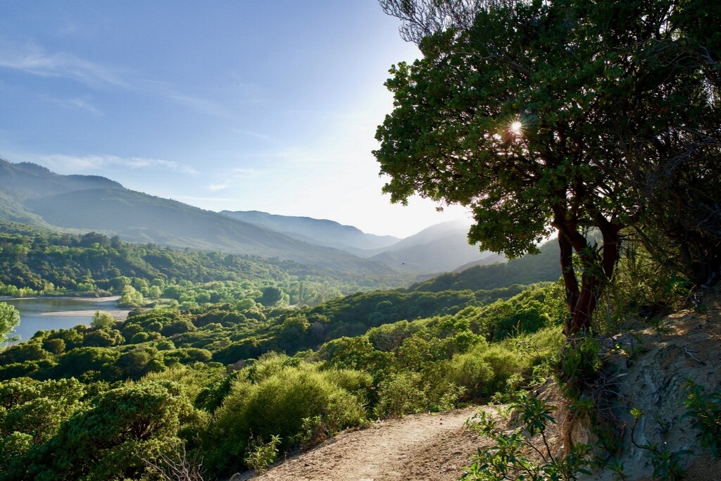30 Days on Trail: Wandering Along the PCT - The Trek