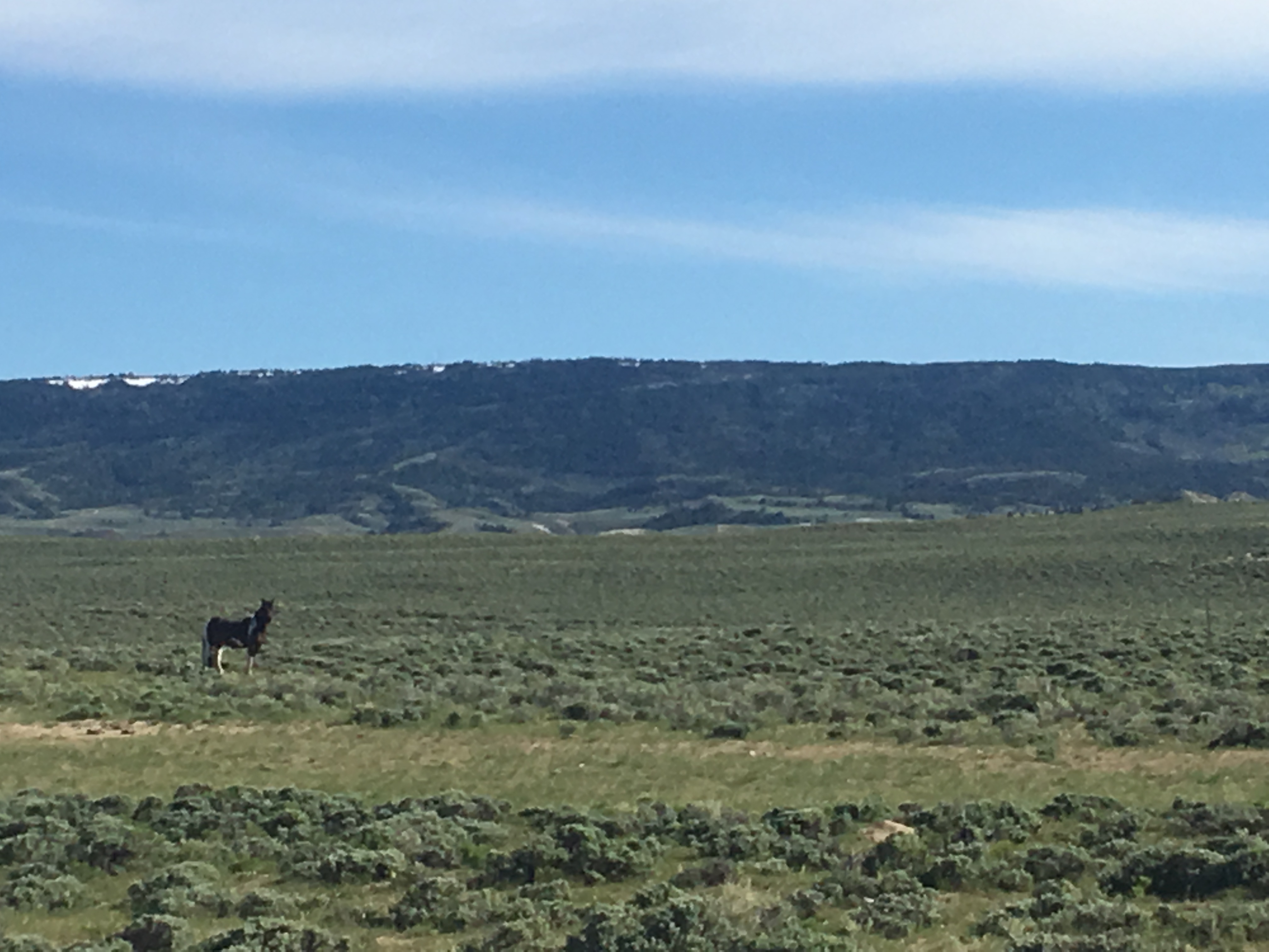 Where the Deer and the Antelope Roam, Part Two - The Trek