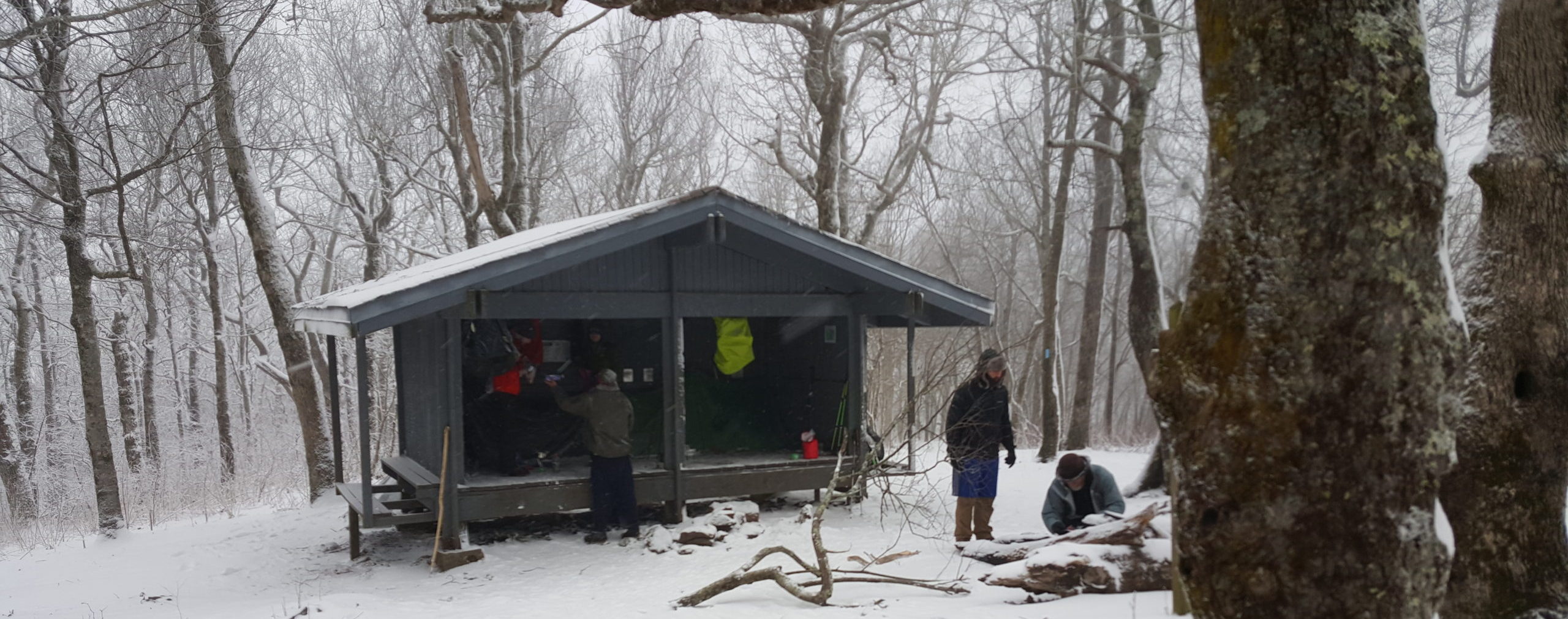 AT Thru-Hike 2.0 - The Trek