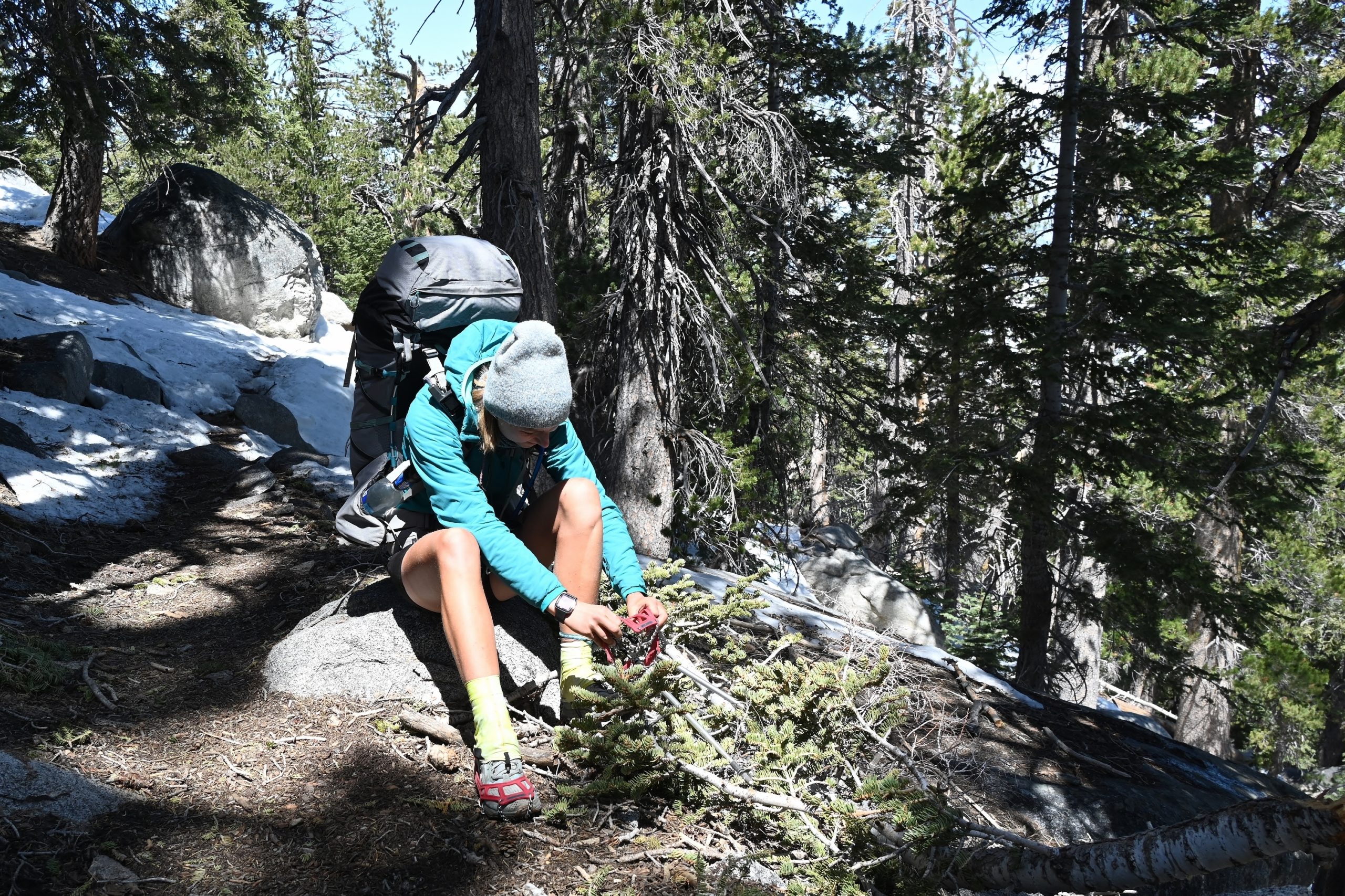 24 Hours in the Life of an Older PCT Hiker – Meandering Along: The ...