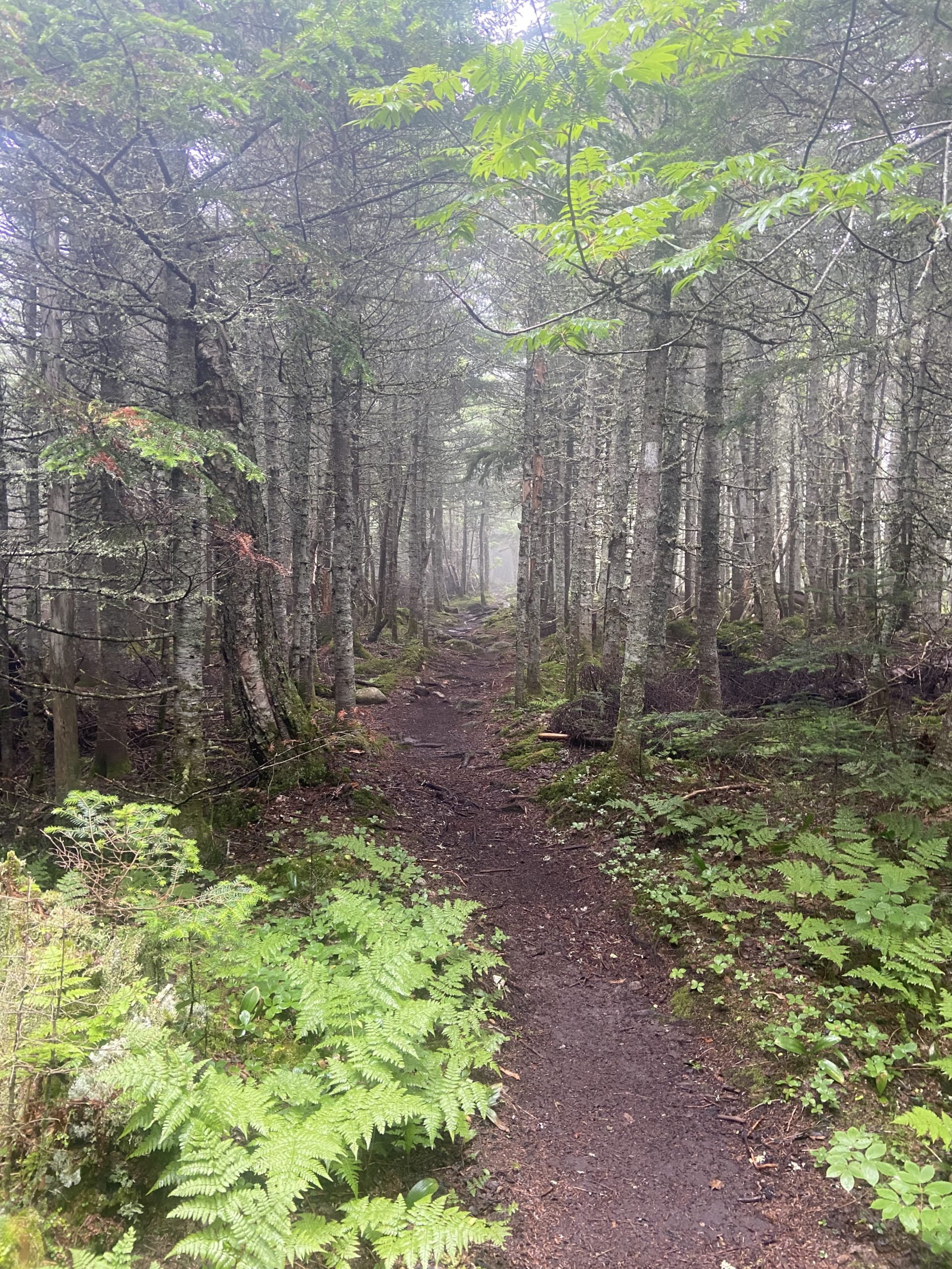Traversing the Bigelow Range: AT Day 124 - The Trek
