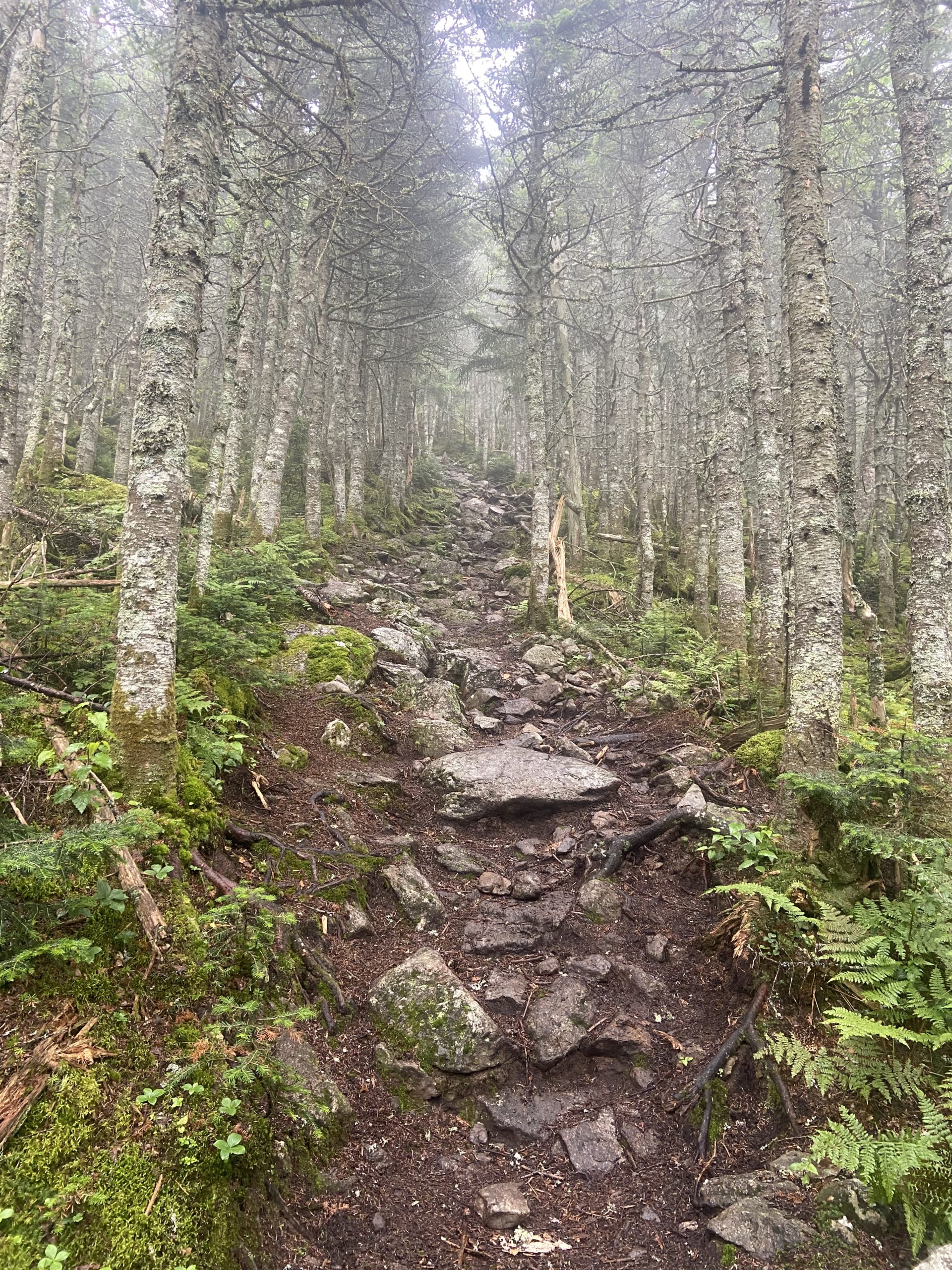 Traversing the Bigelow Range: AT Day 124 - The Trek