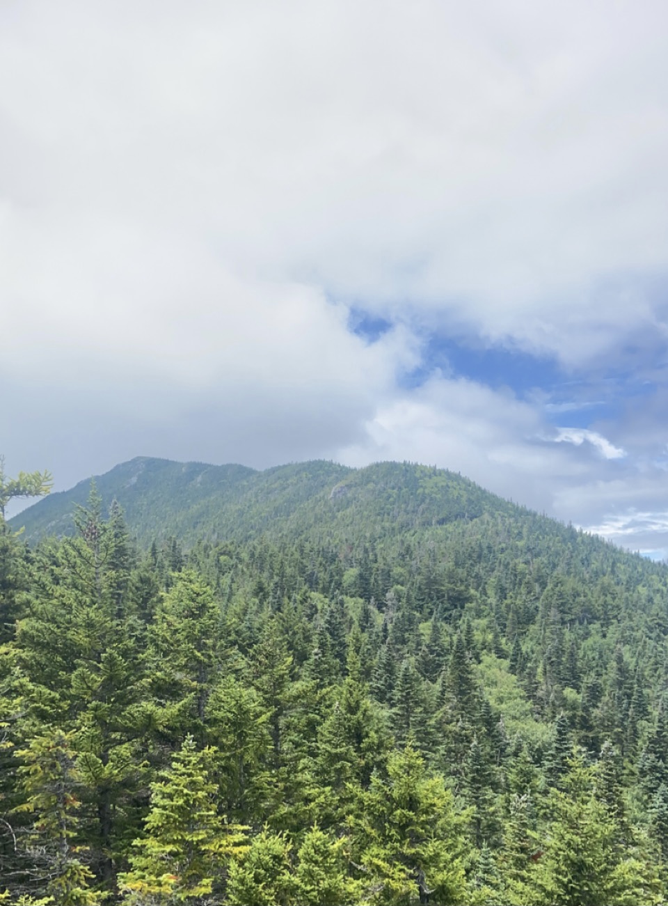 Traversing the Bigelow Range: AT Day 124 - The Trek