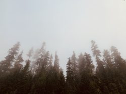 Oregon: The Vortex State - The Trek