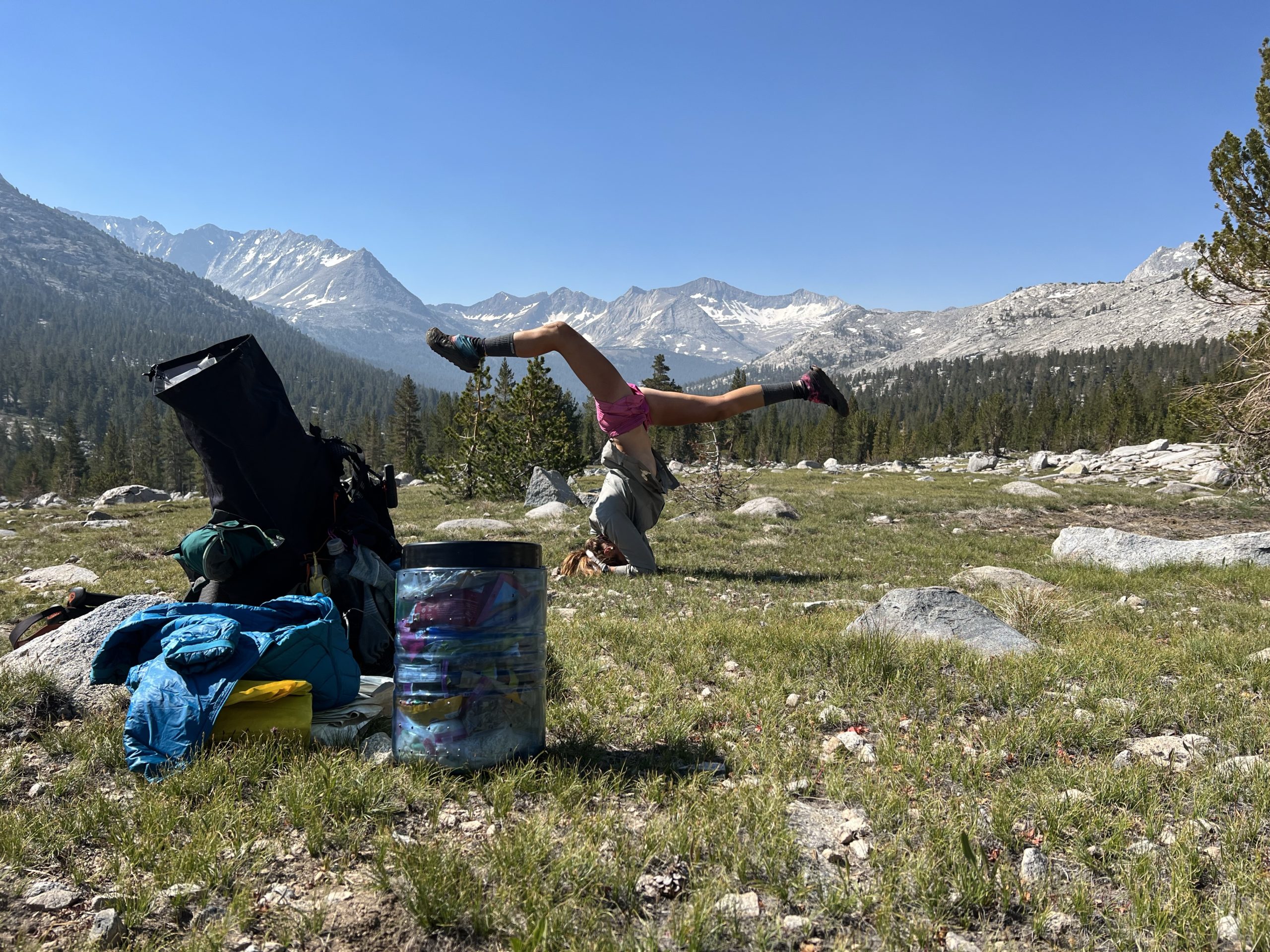 Pacific Crest Trail: Bears! - The Trek