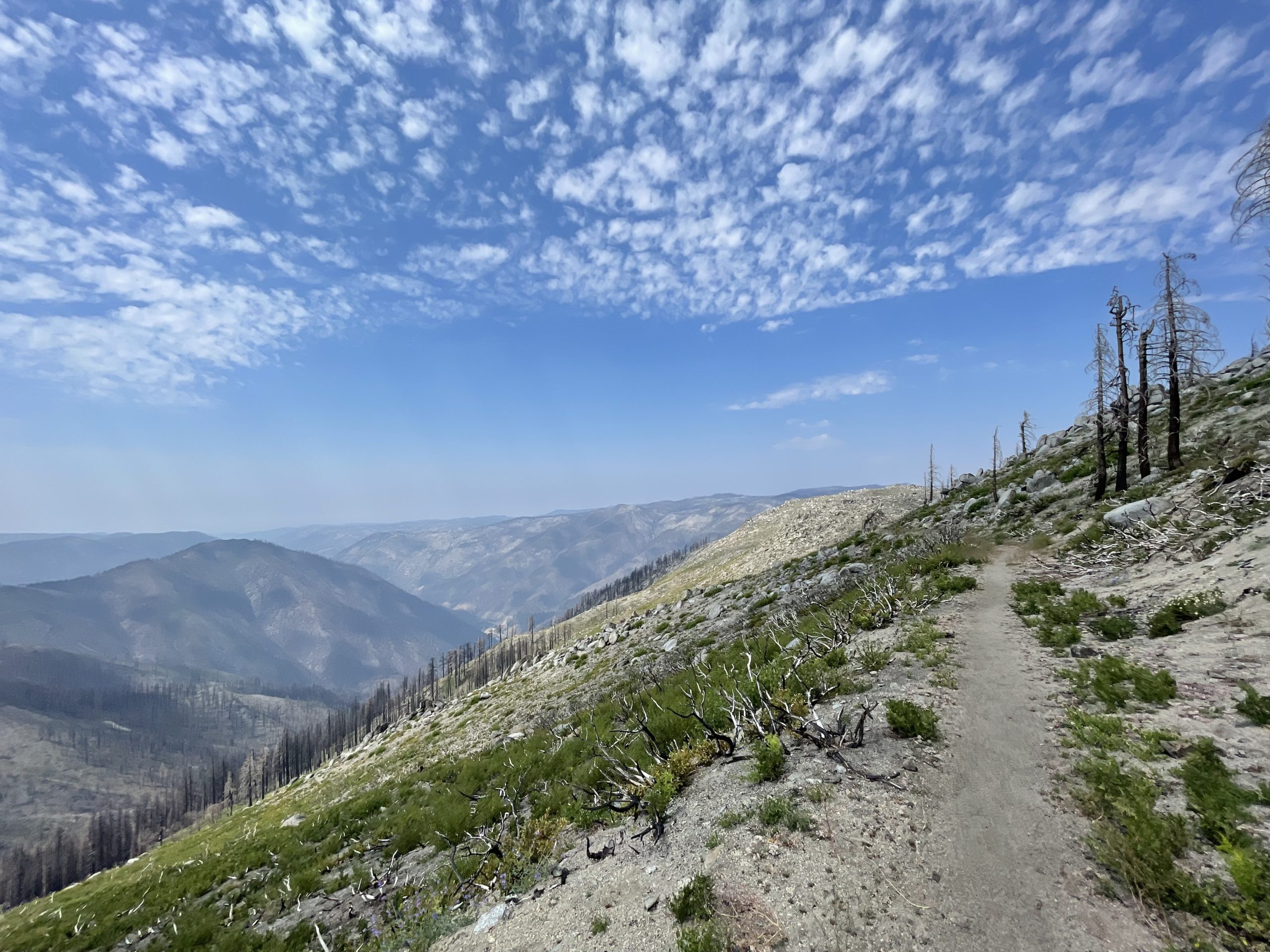 PCT CA SECTION M - The Trek