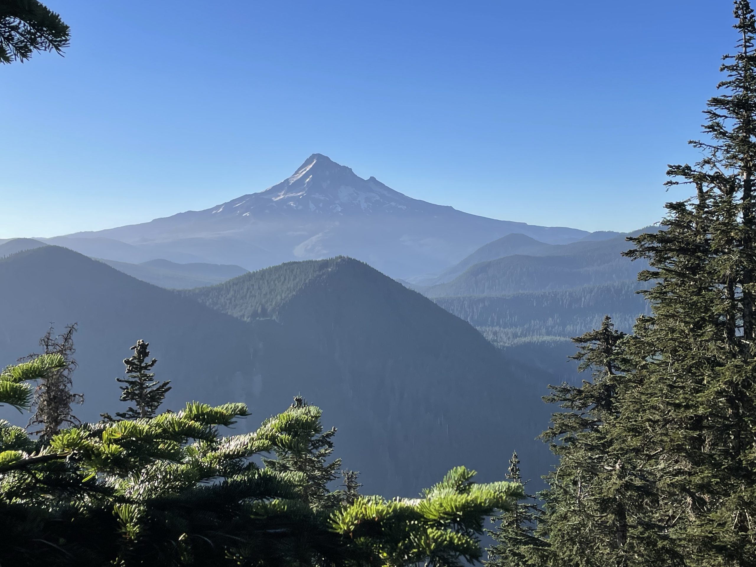 Traipsing Through Oregon - The Trek