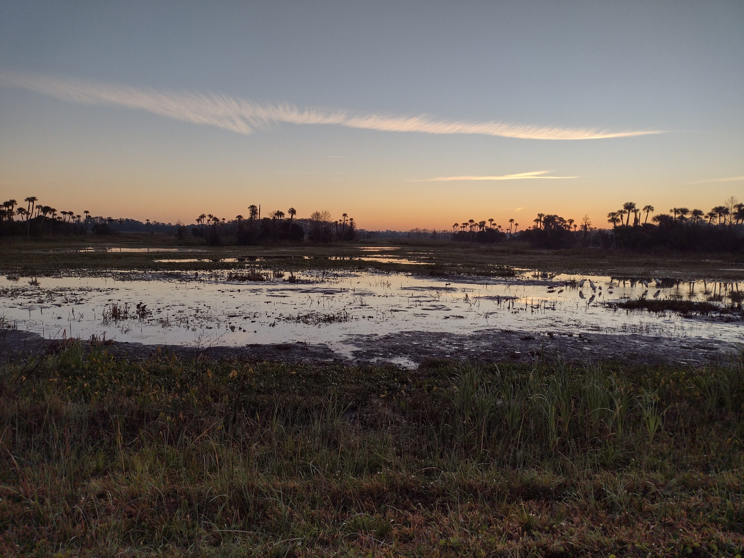Three Lakes Wildlife Management Area to the Little Big Econ State Park ...