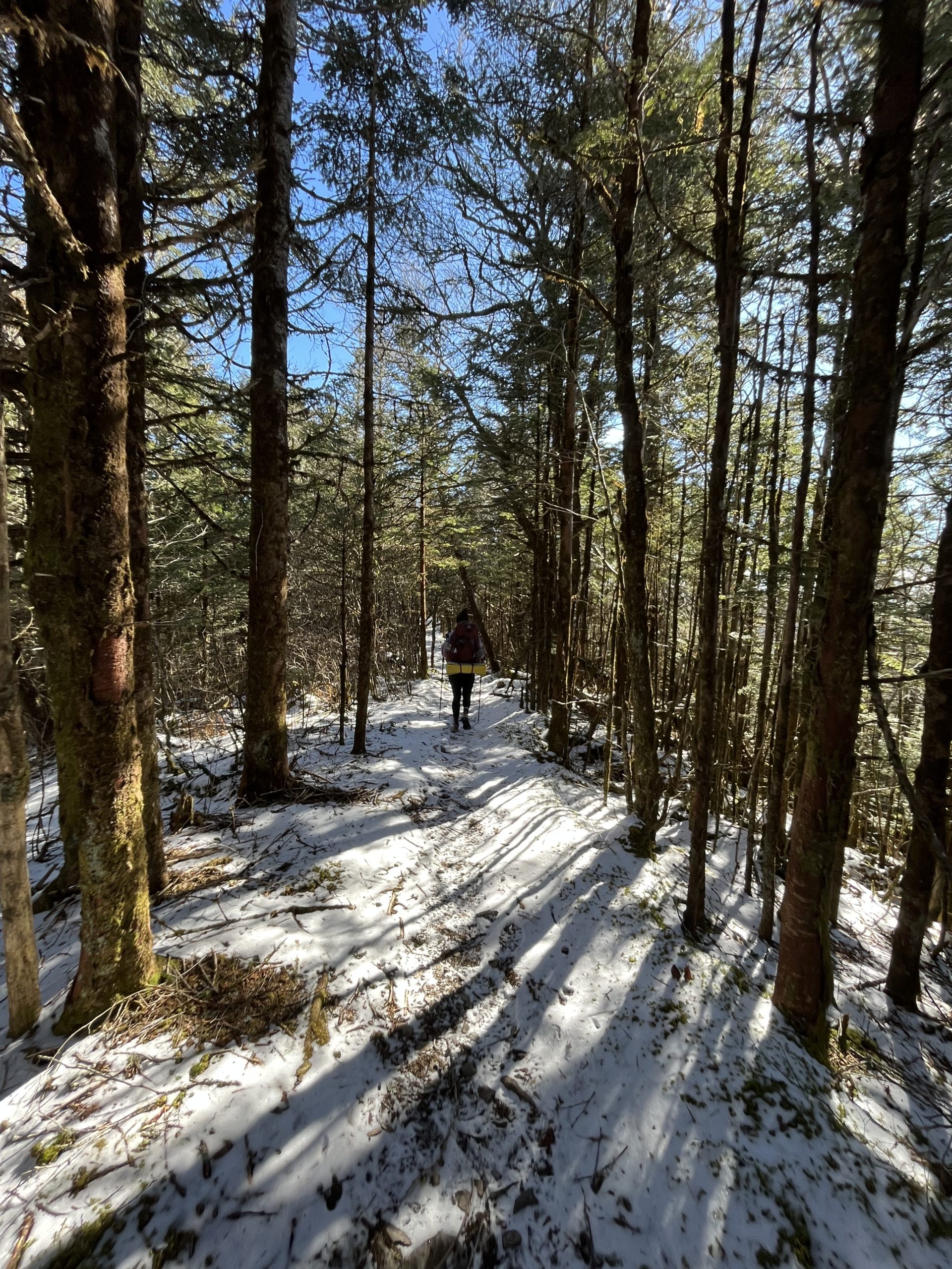 Tramily or Triends? - The Trek
