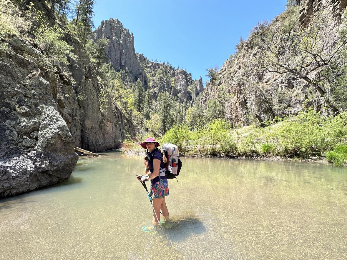 Bald Eagles Over Dry Feet - The Trek