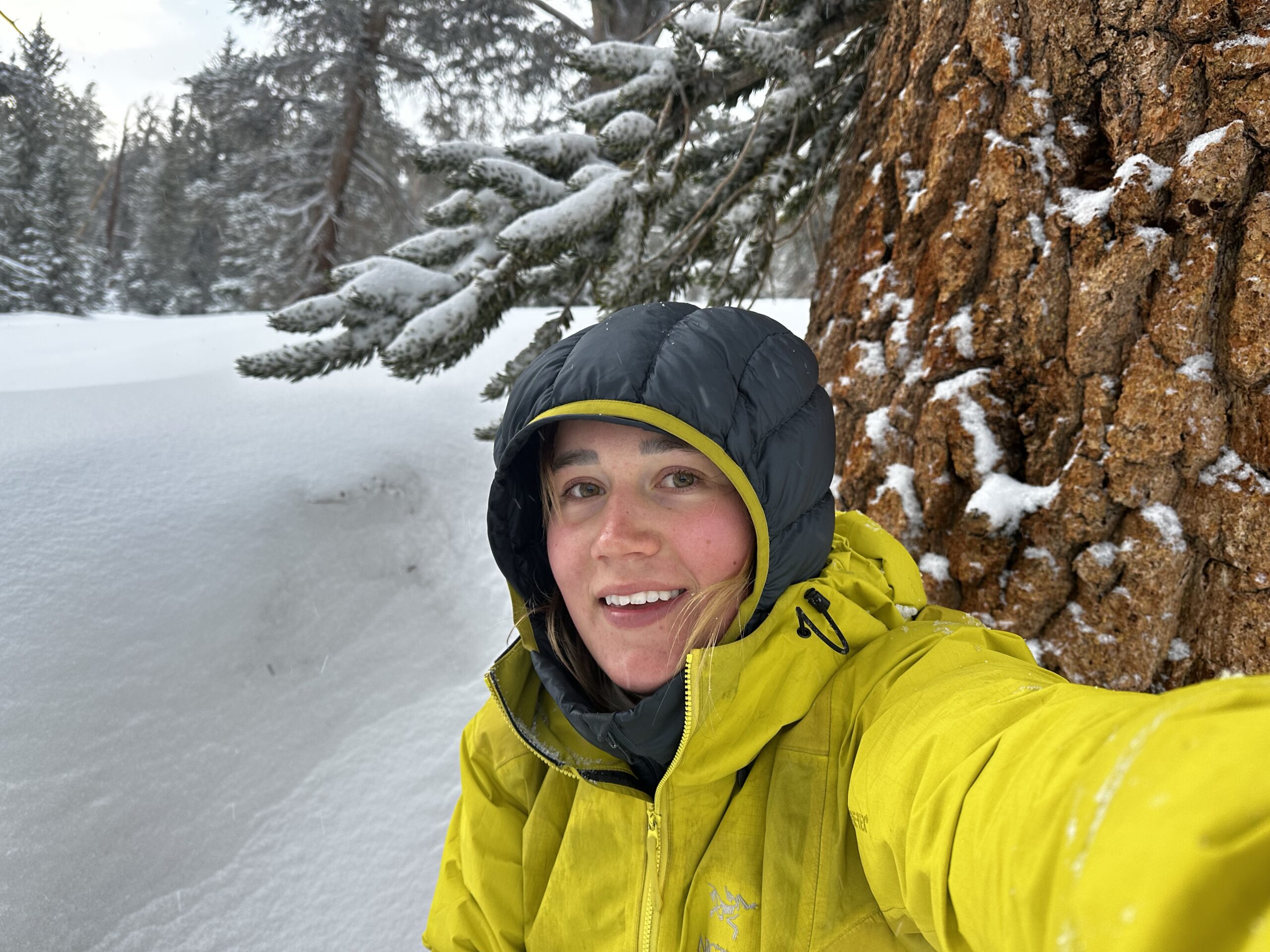 The One Where We Entered the Sierras - The Trek