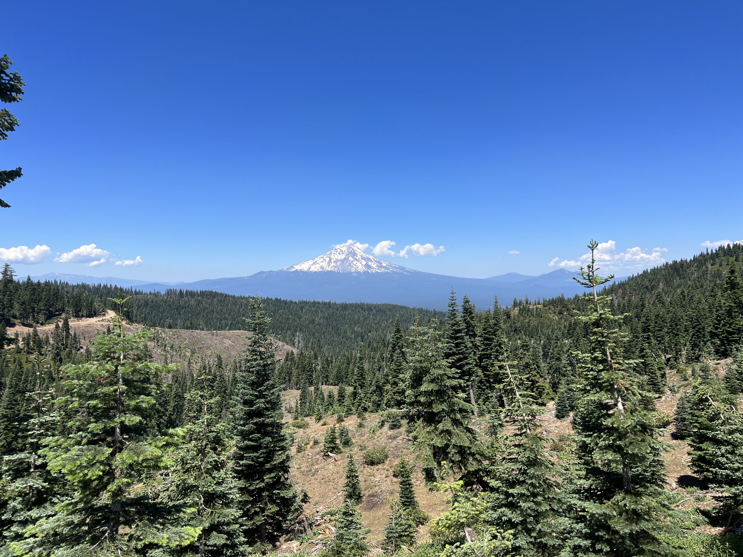 PCT Weeks…I don’t know…Chester to Shasta - The Trek