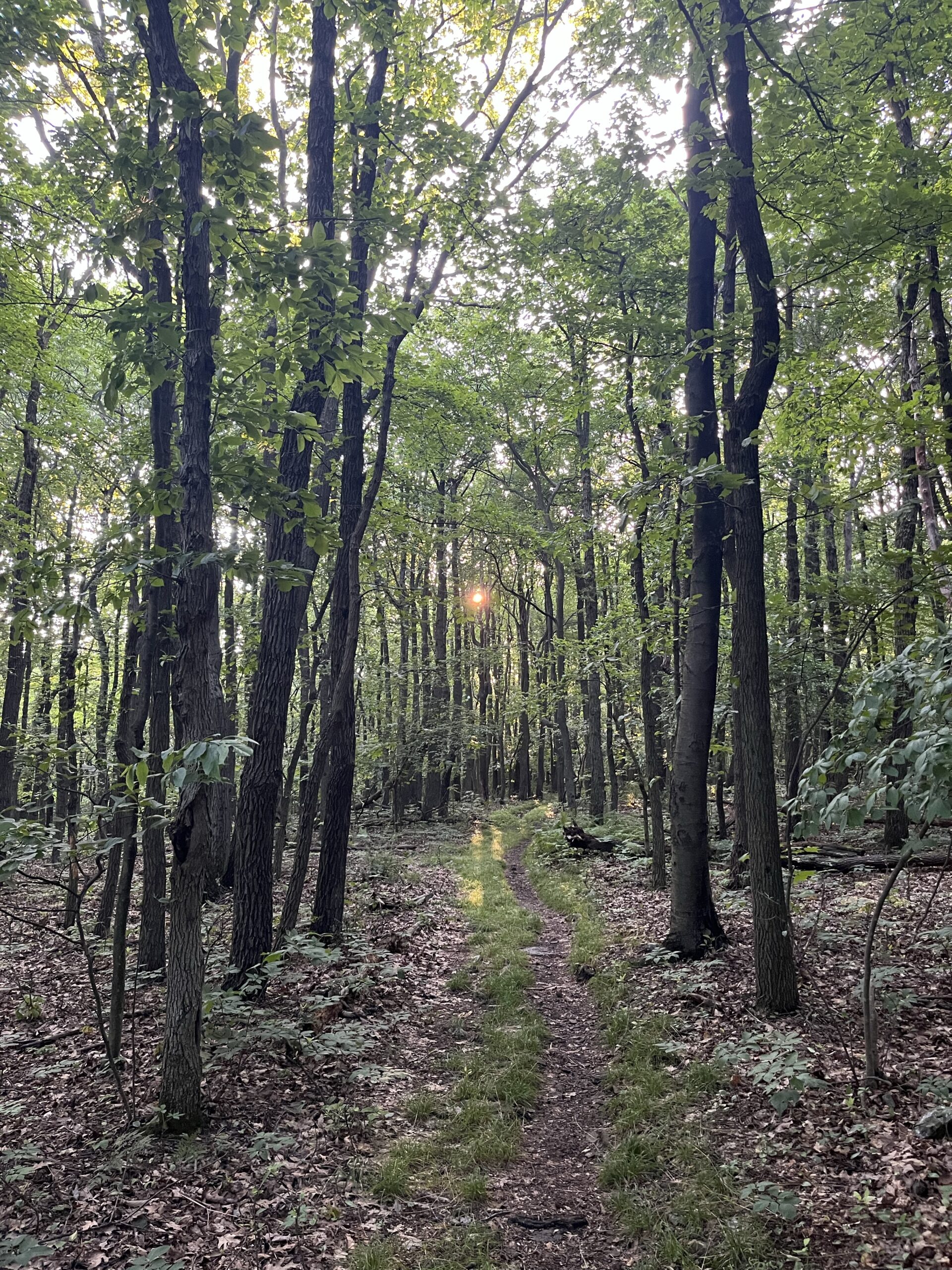 Week 14 on the AT -Interview with All Day, Three Months on Trail - The Trek