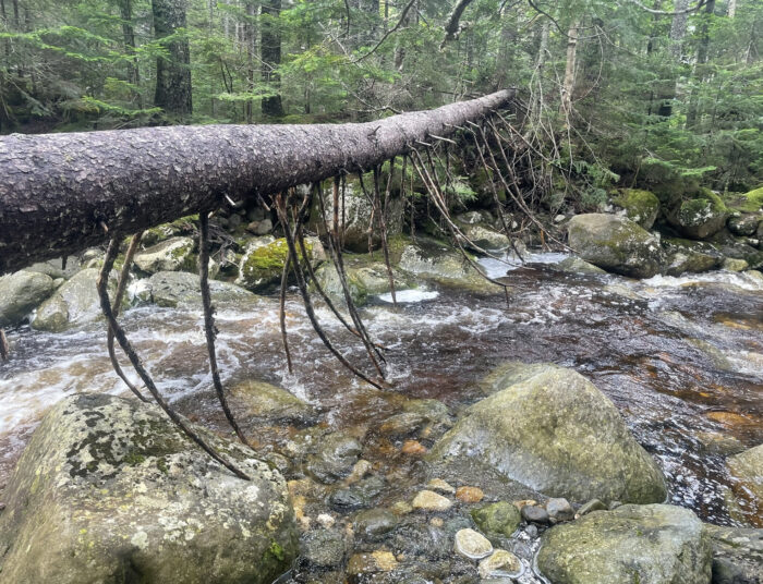 My White Mountain Emotional Rollercoaster: Part Eight, Pinkham Notch ...
