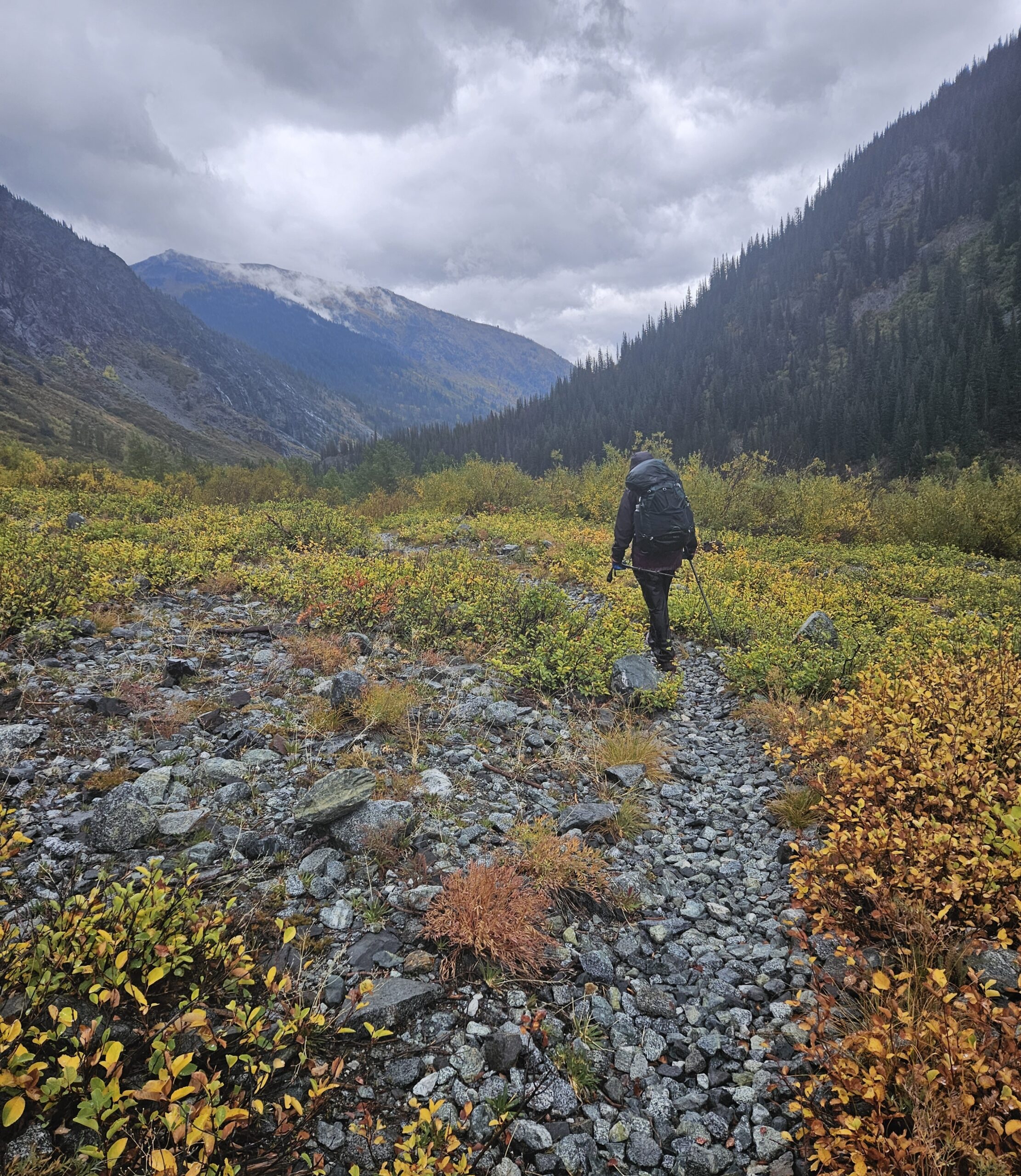 The Last Hurdle: Washington Weather - The Trek