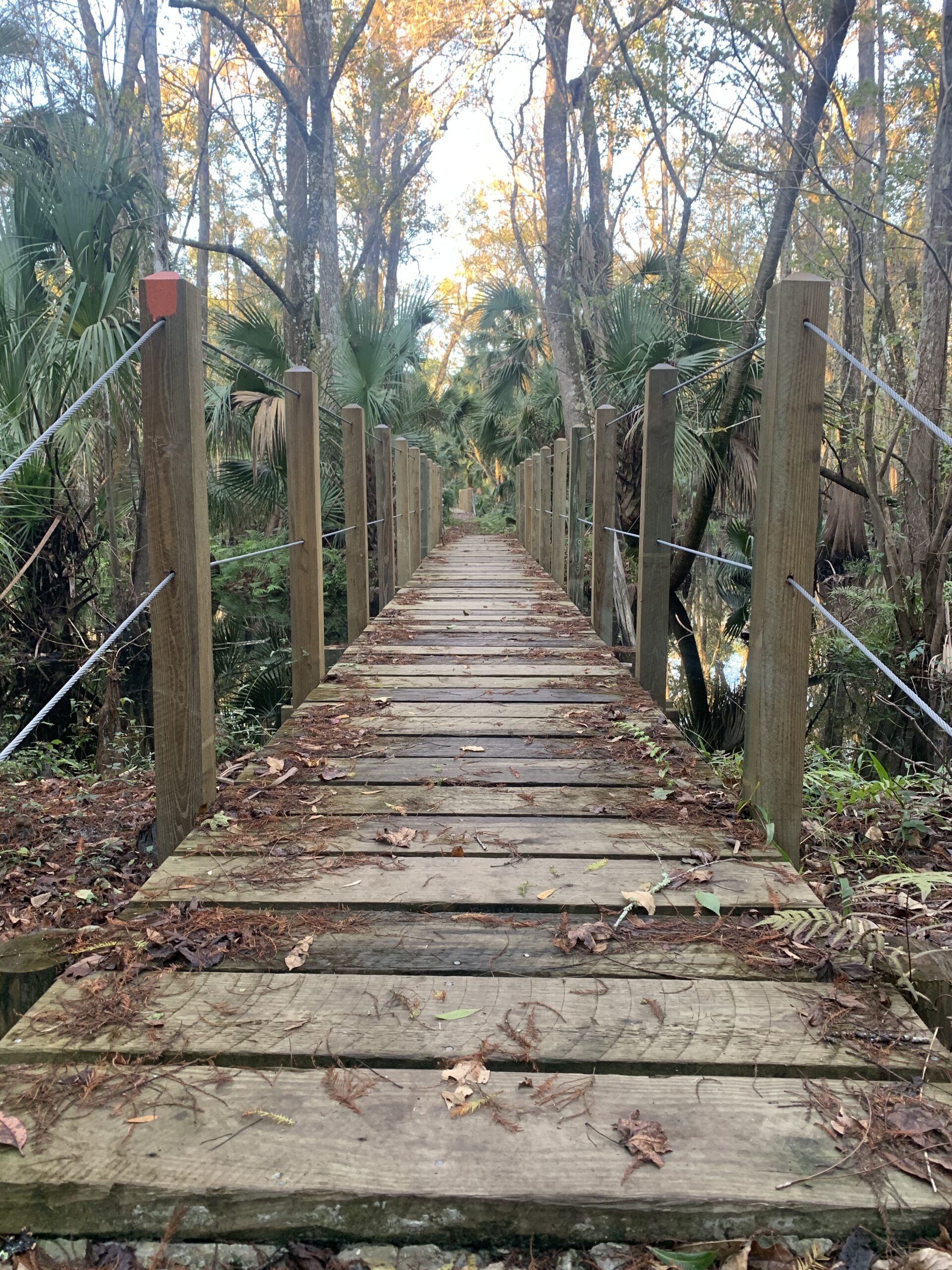 An Appalachian Trail Tramily Reunion - The Trek