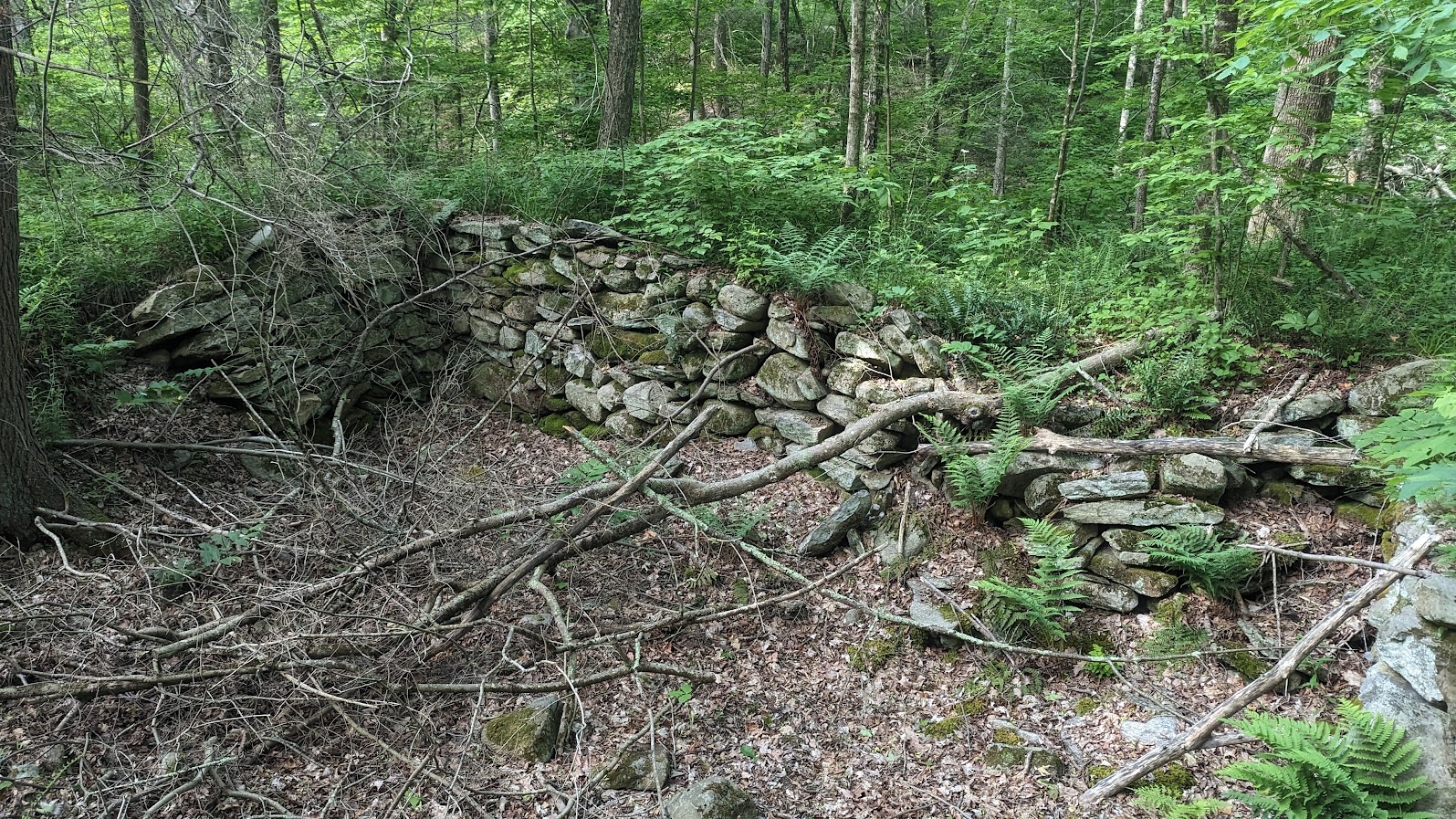 Week 10 (June 4 to June 9) Learning to See with Heart - The Trek