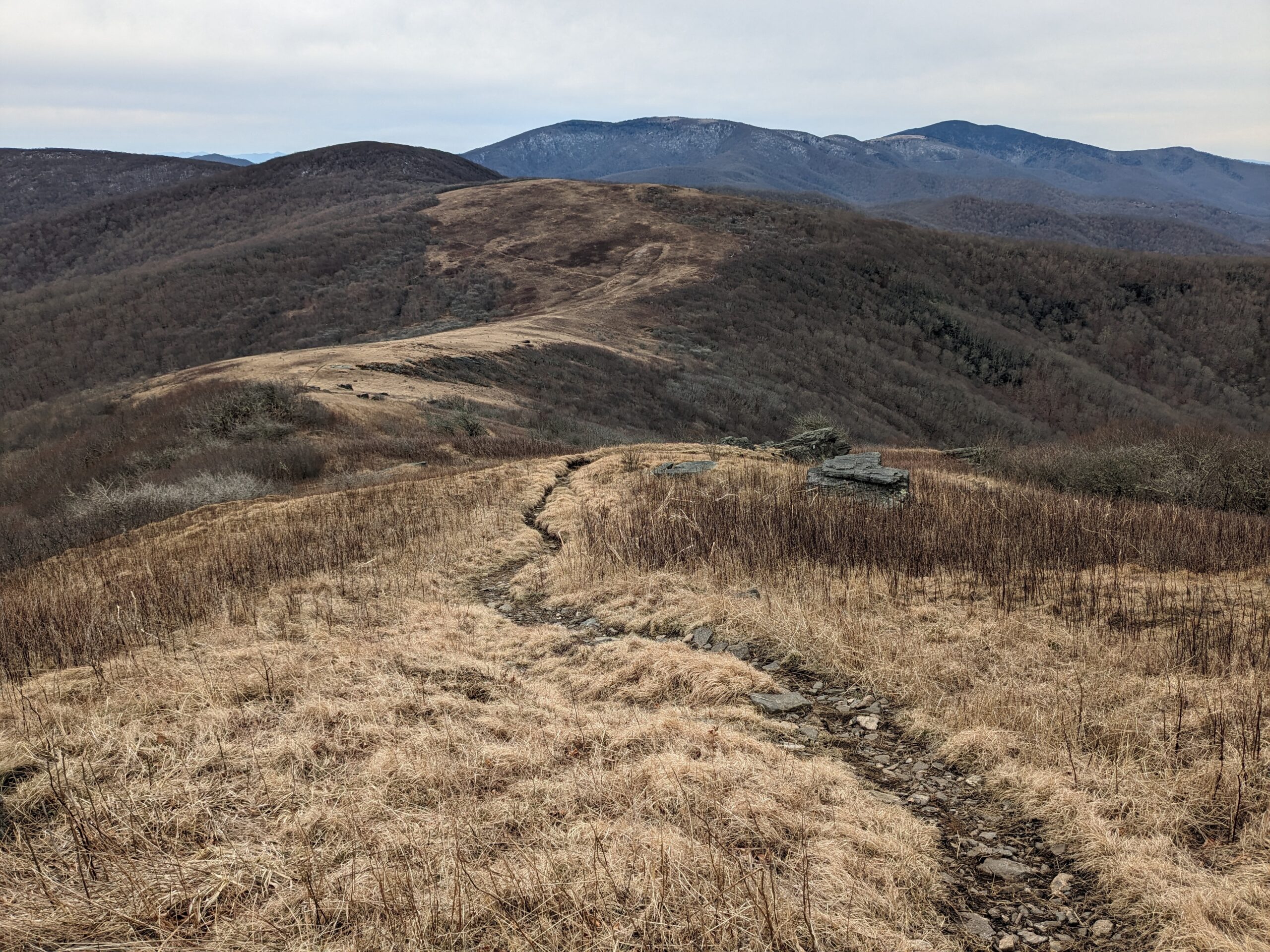 Week 7: Onward to TN & NC! - The Trek