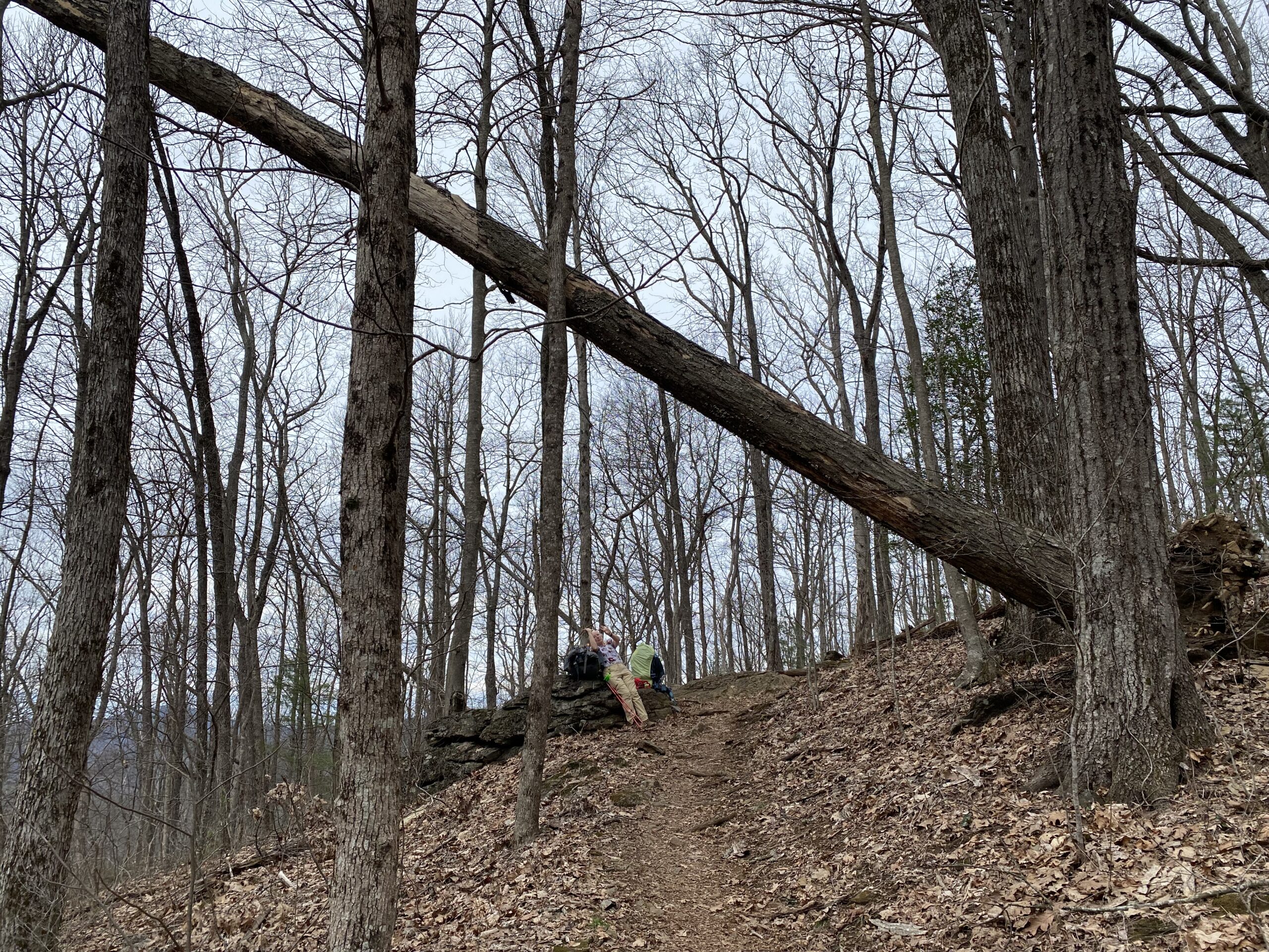 Pointless Ups and Downs - Not Always! - The Trek
