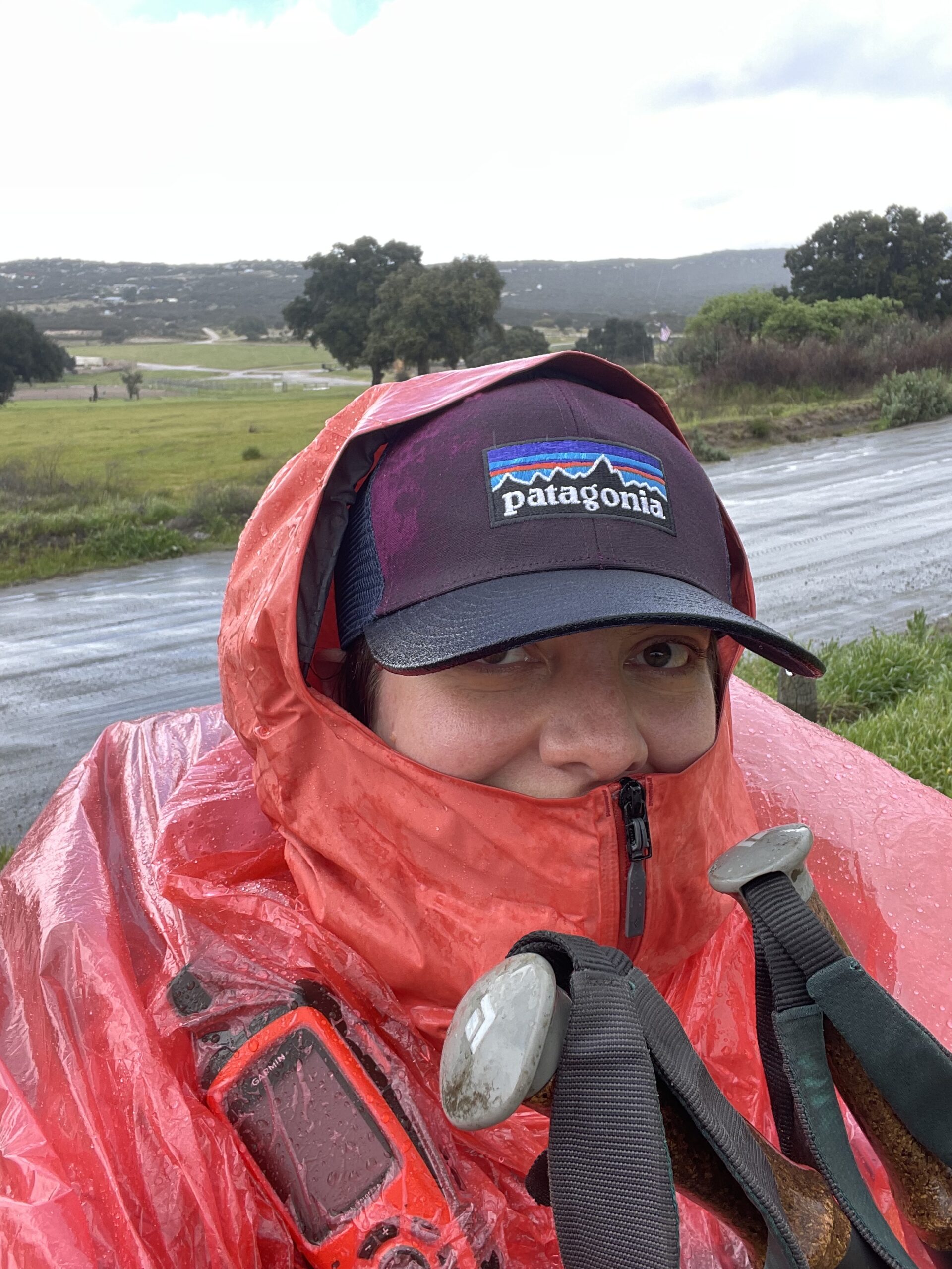 Ripped from the Violent Birth Canal of the PCT - The Trek