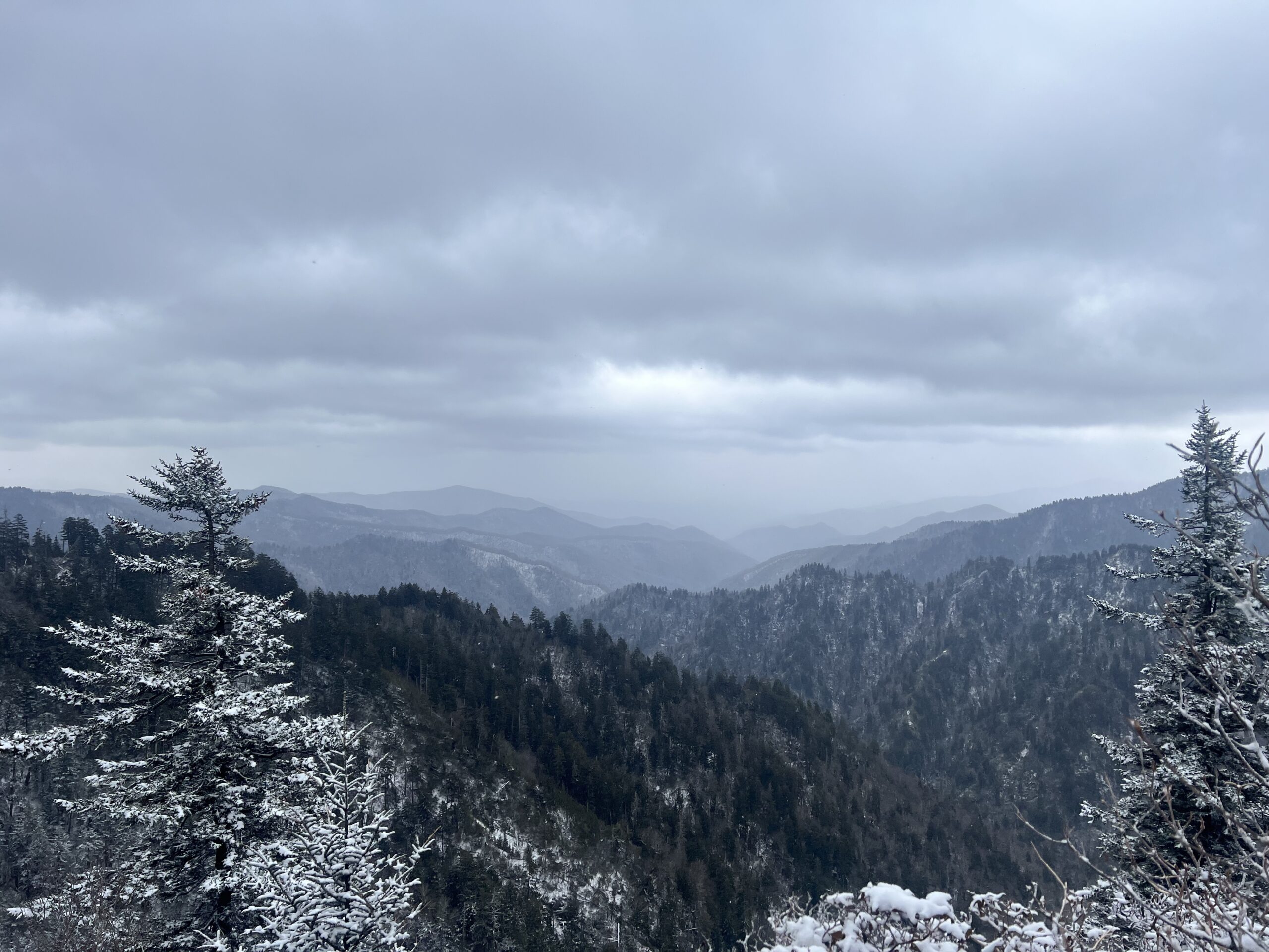 Snow, Mice, and Sisu in the Smokies - The Trek