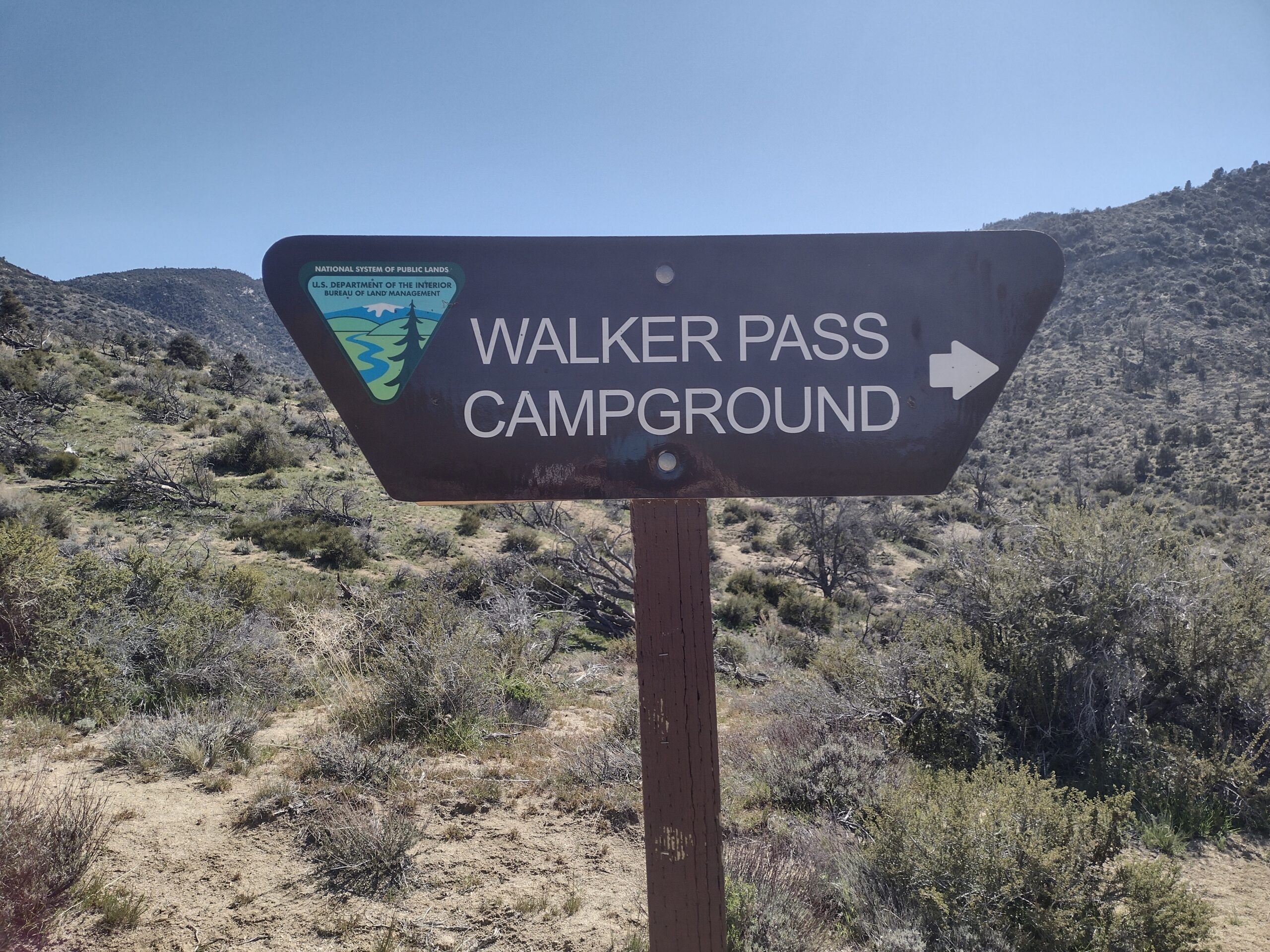 First Day on the PCT - The Trek