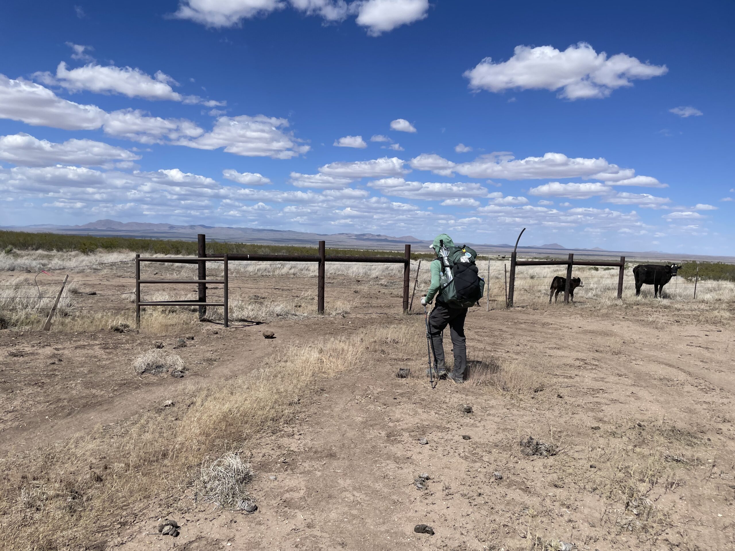 We Hit the CDT, and It Hits Back - The Trek