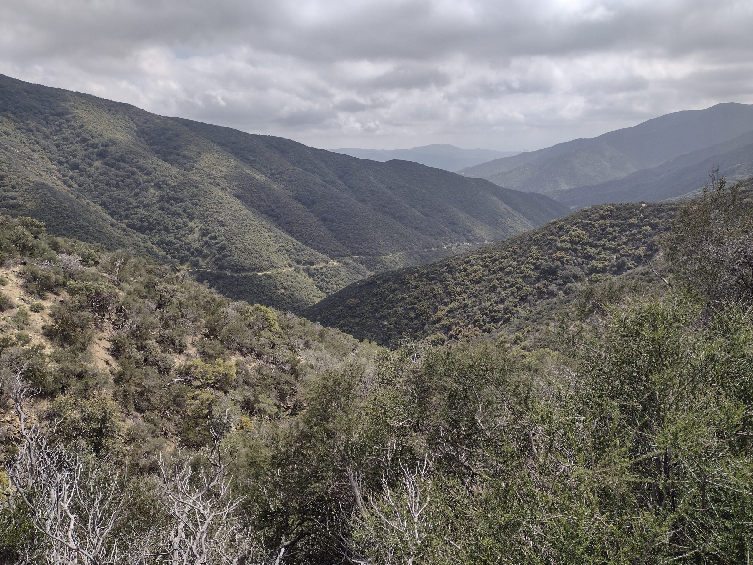 Hiking the Sierra Pelona - The Trek