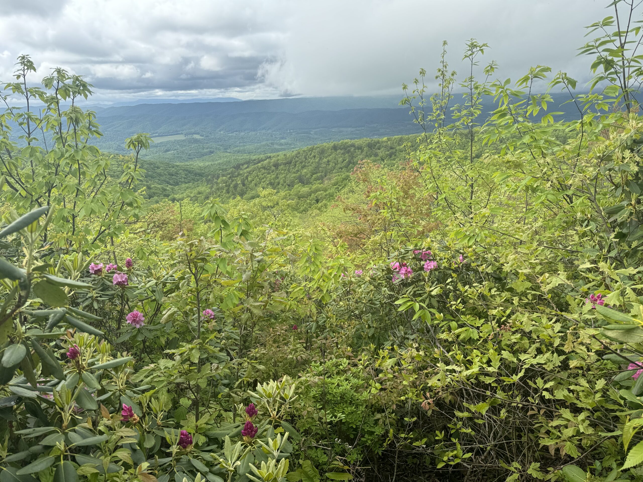Days 44 through 47 - The Trek
