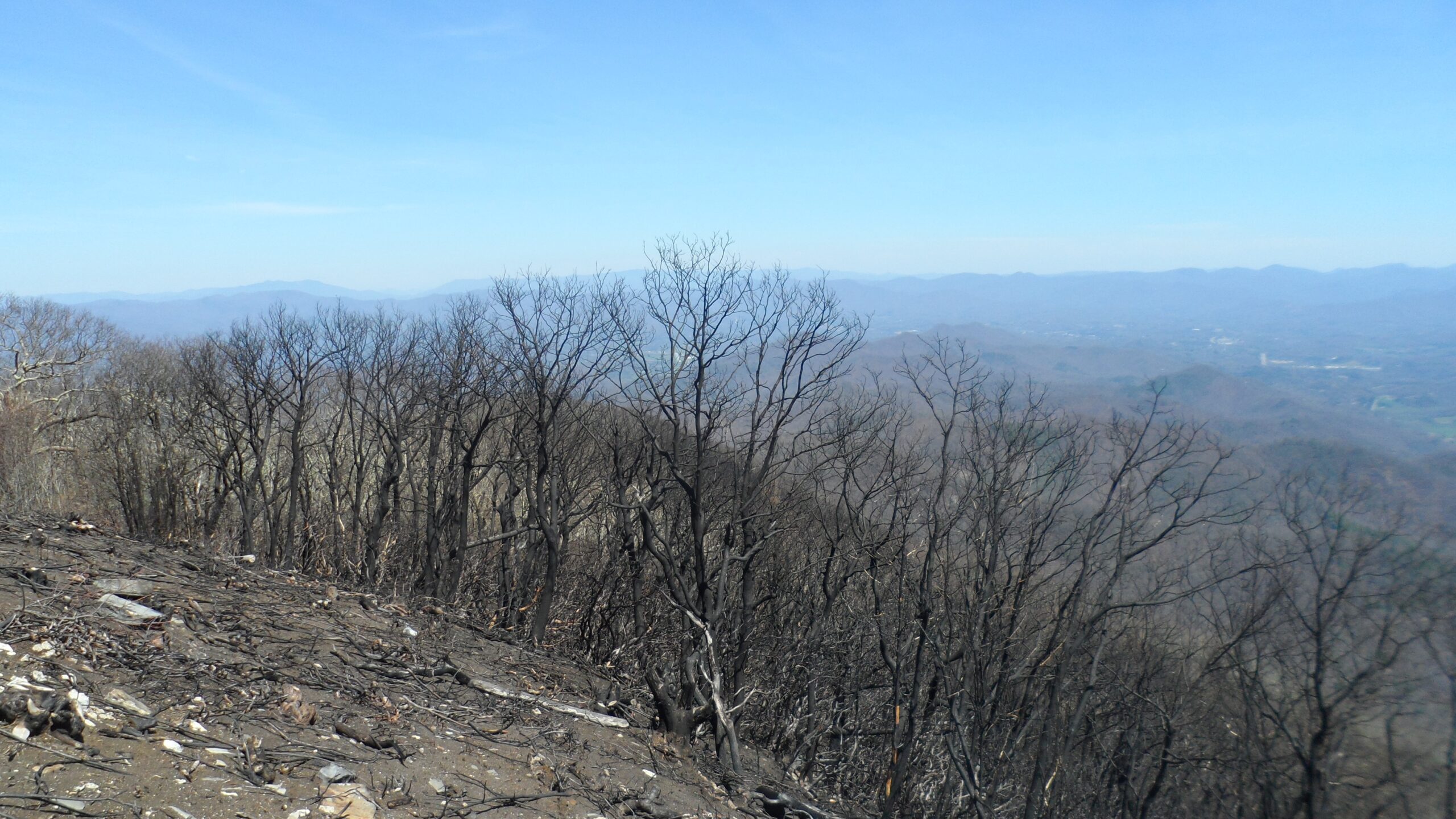 Hiking into North Carolina (April 22-26) - The Trek