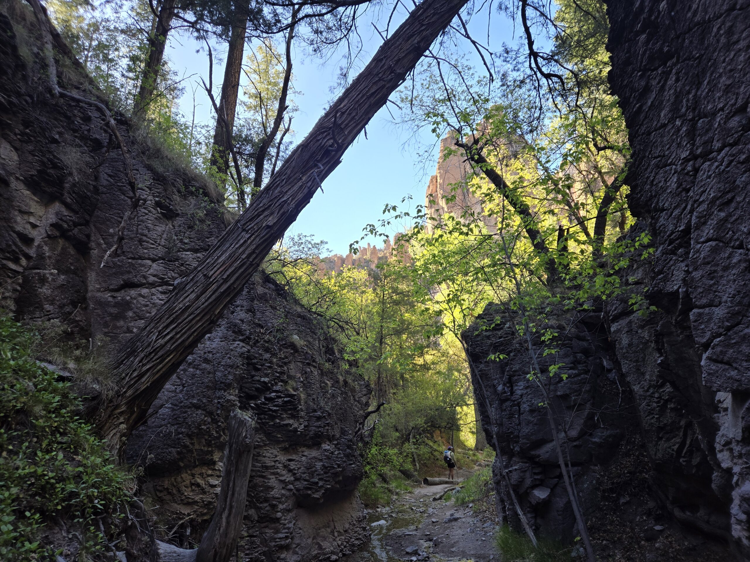 CDT Part 3: Silver City to Pie Town, Where The Gila River Leads to Road ...