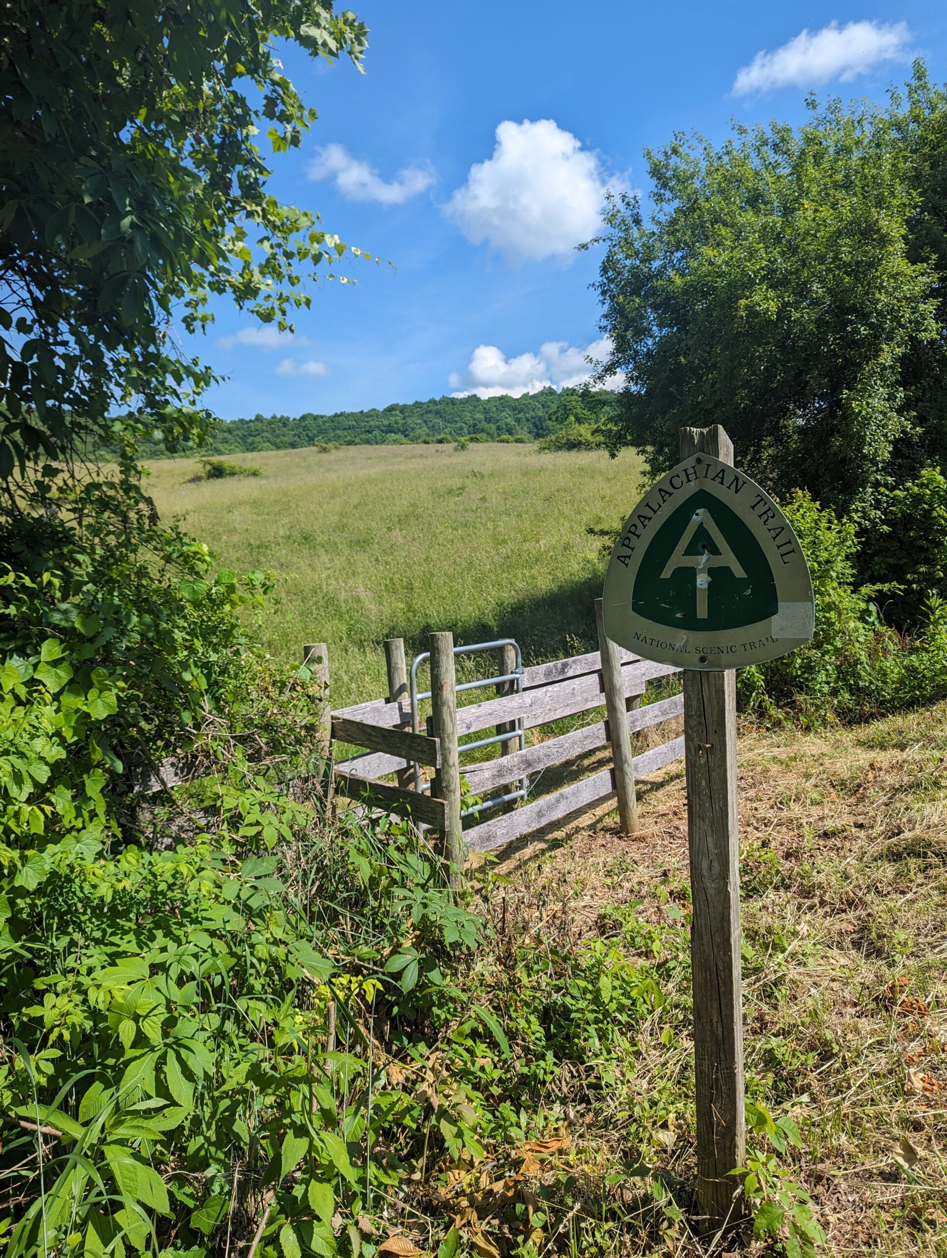 Day 61 - Let's Take A Dip In The Stream - The Trek