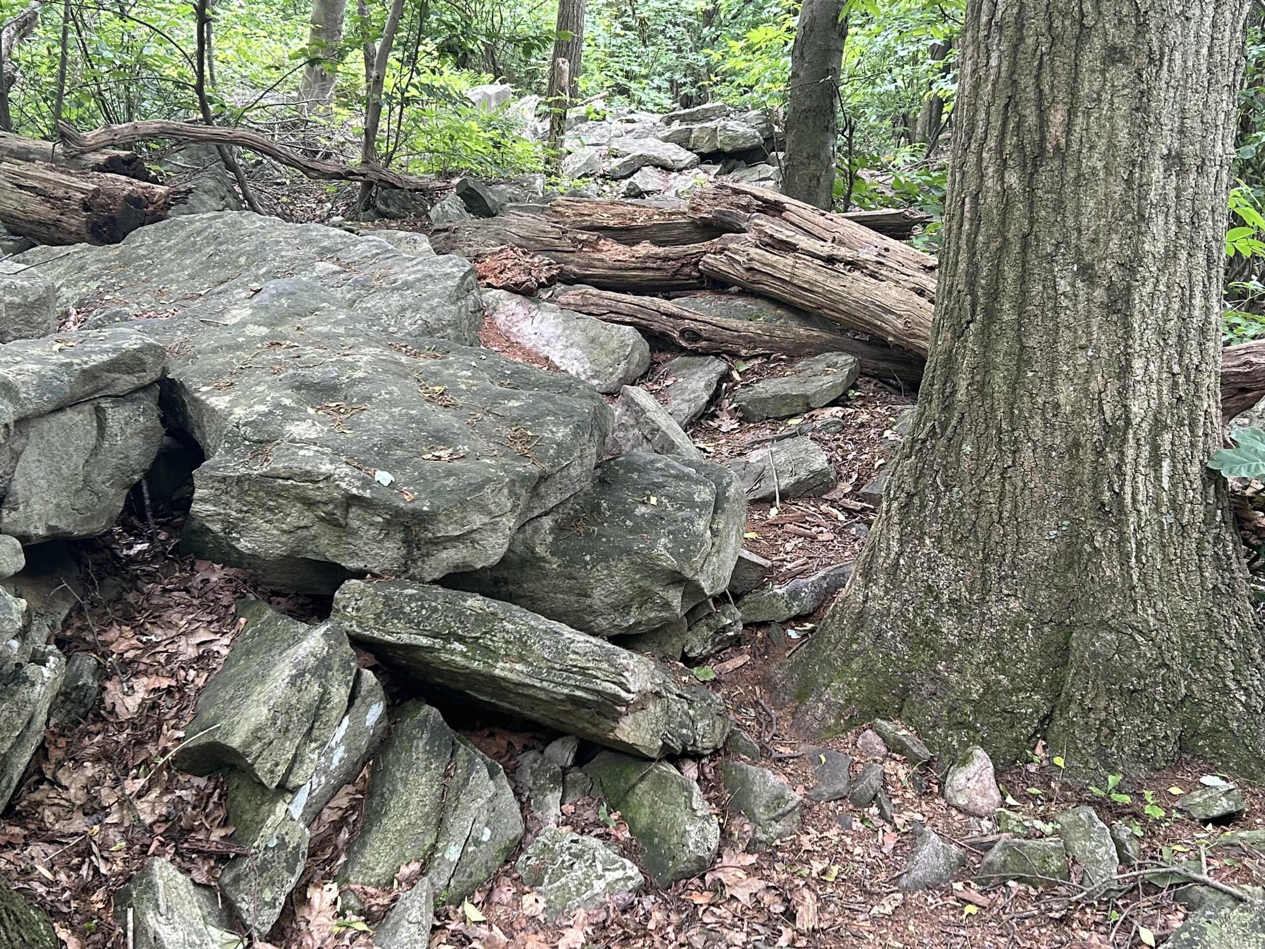 Finishing Rocksylvania - The Trek