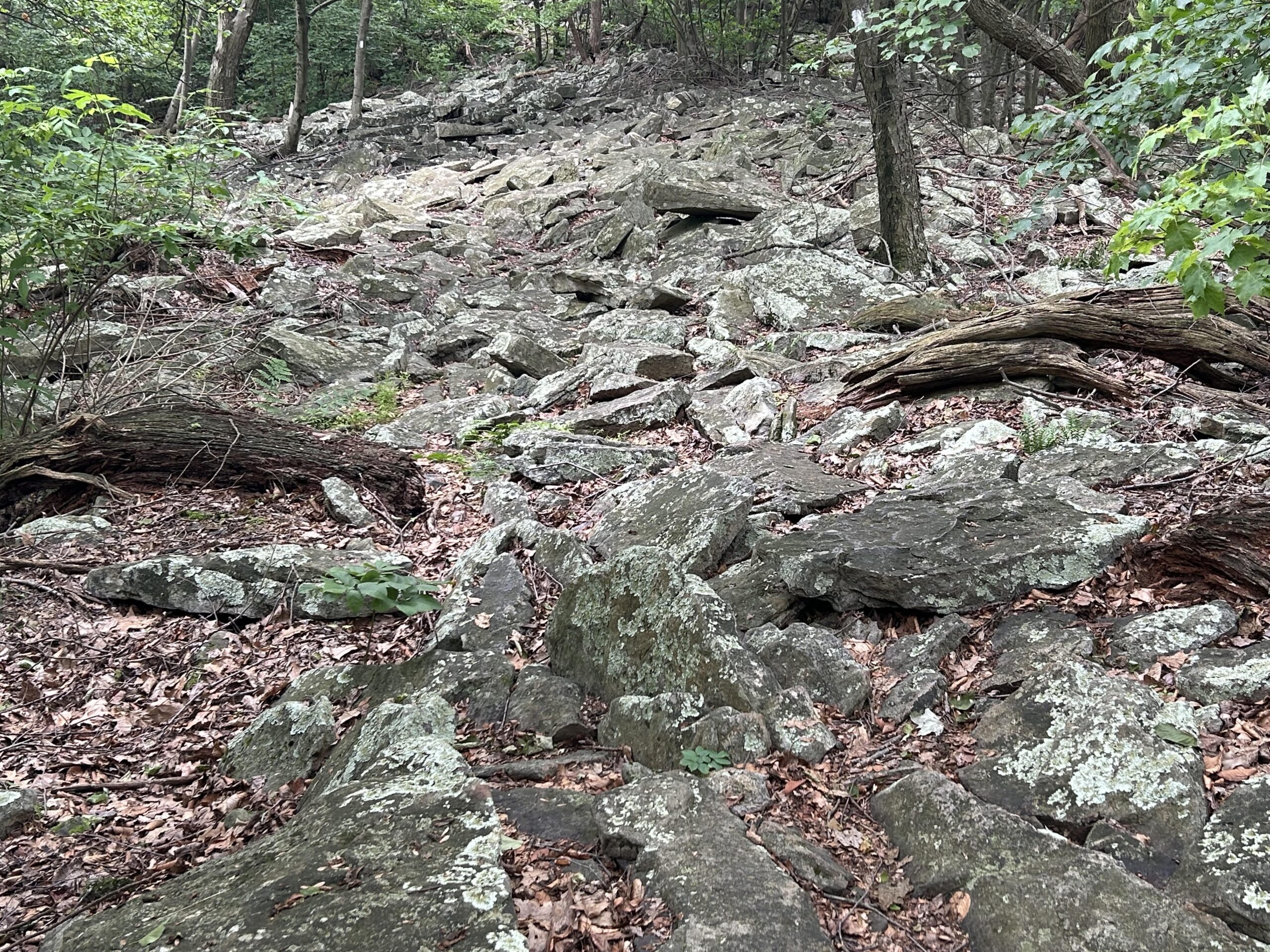 Finishing Rocksylvania - The Trek