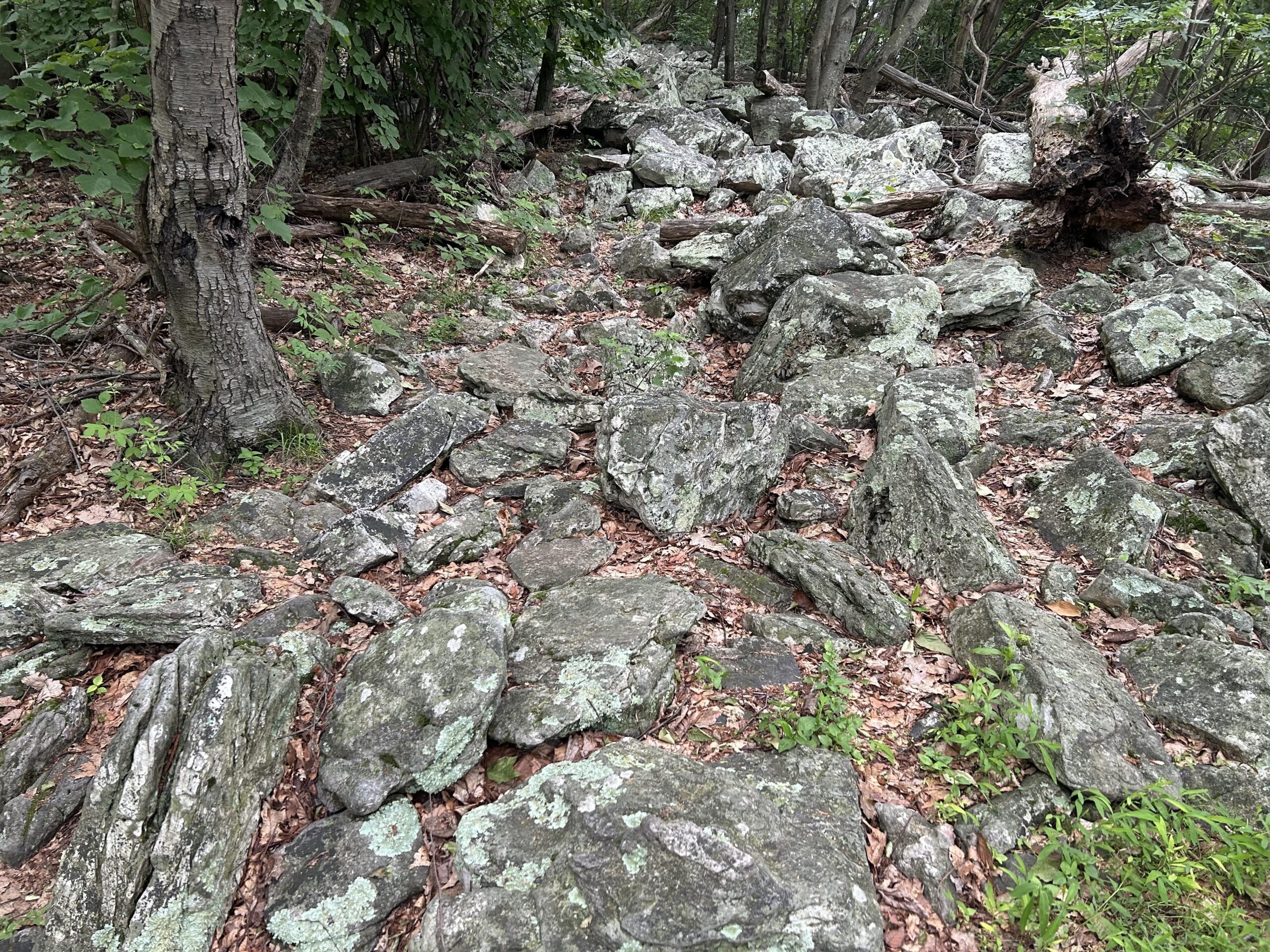 Finishing Rocksylvania - The Trek