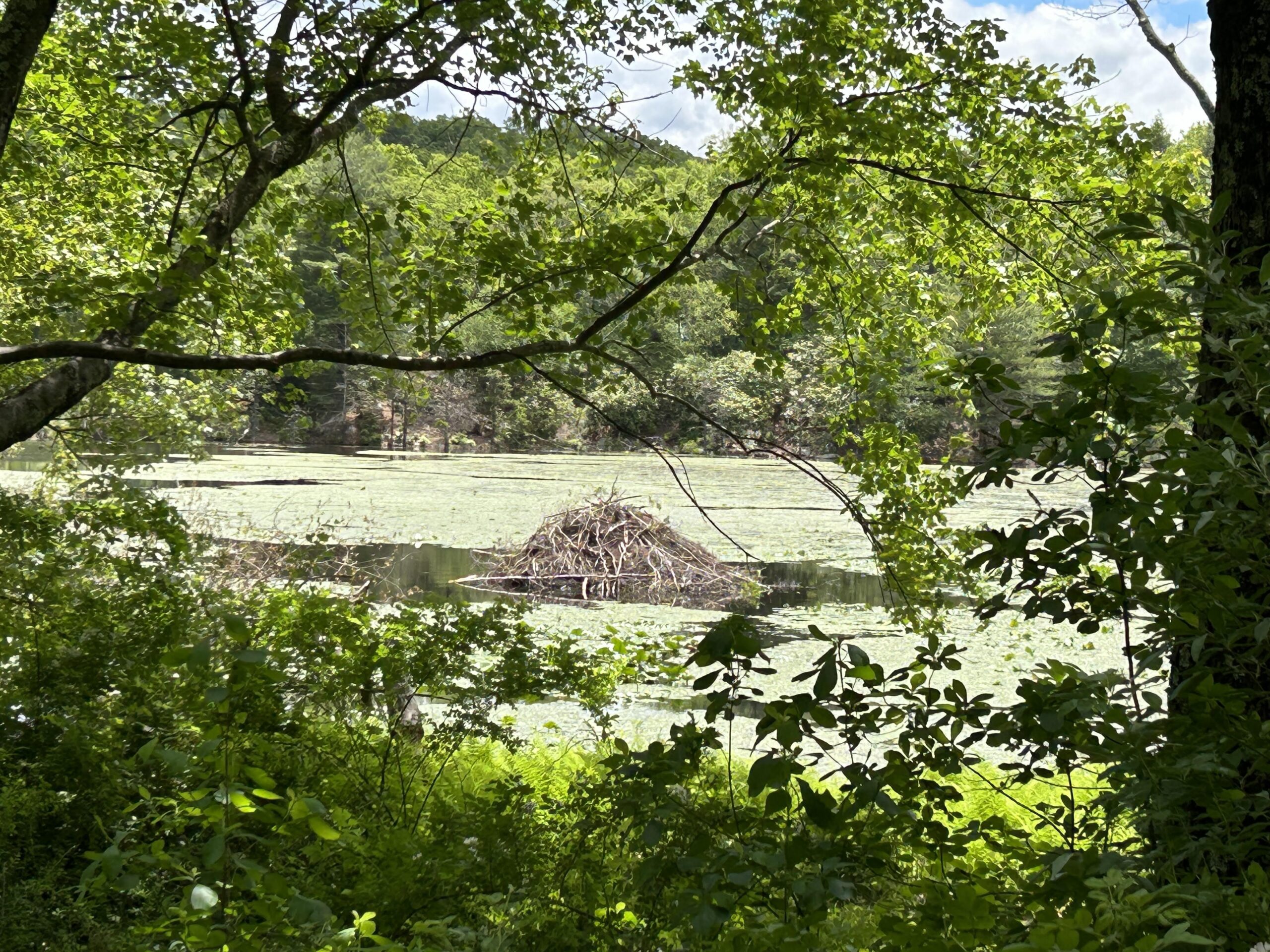 Through New Jersey and into New York - The Trek