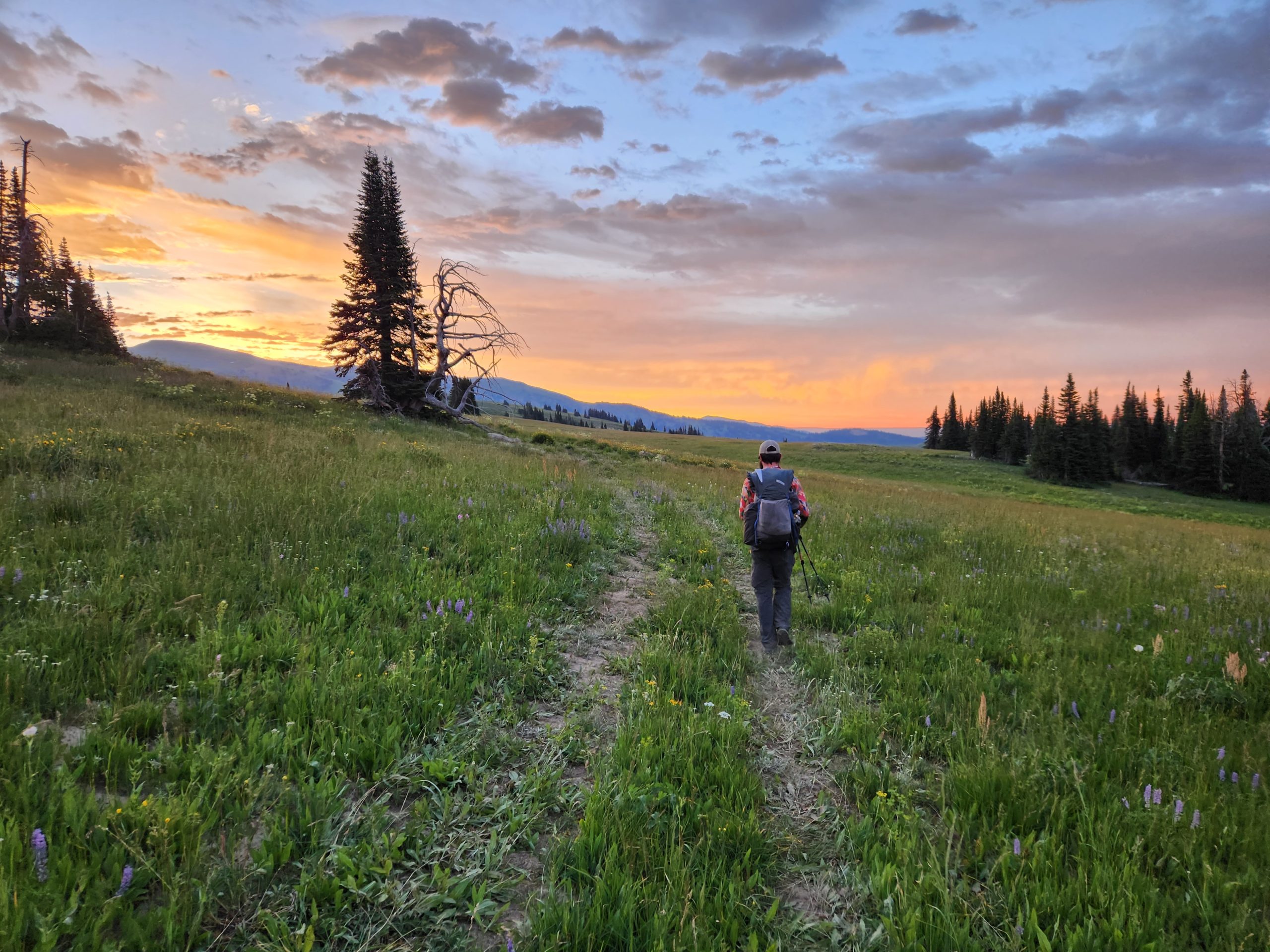 When the Trail Isn’t the Hard Part - The Trek