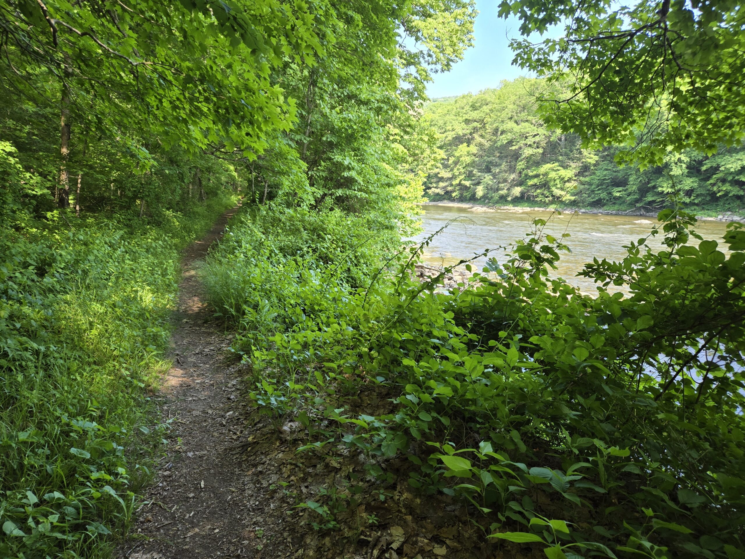 Appalachian Trail Days 36-40: Through Connecticut - The Trek