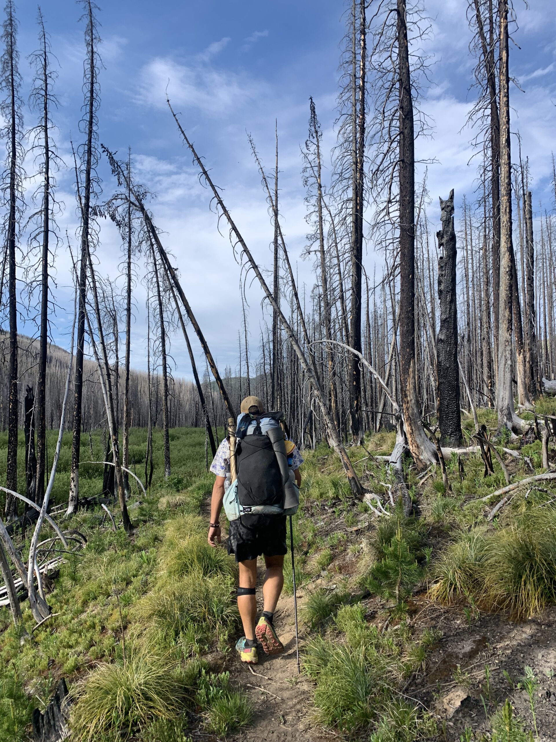 Hikers Roast Their Socks Over a Fire - The Trek