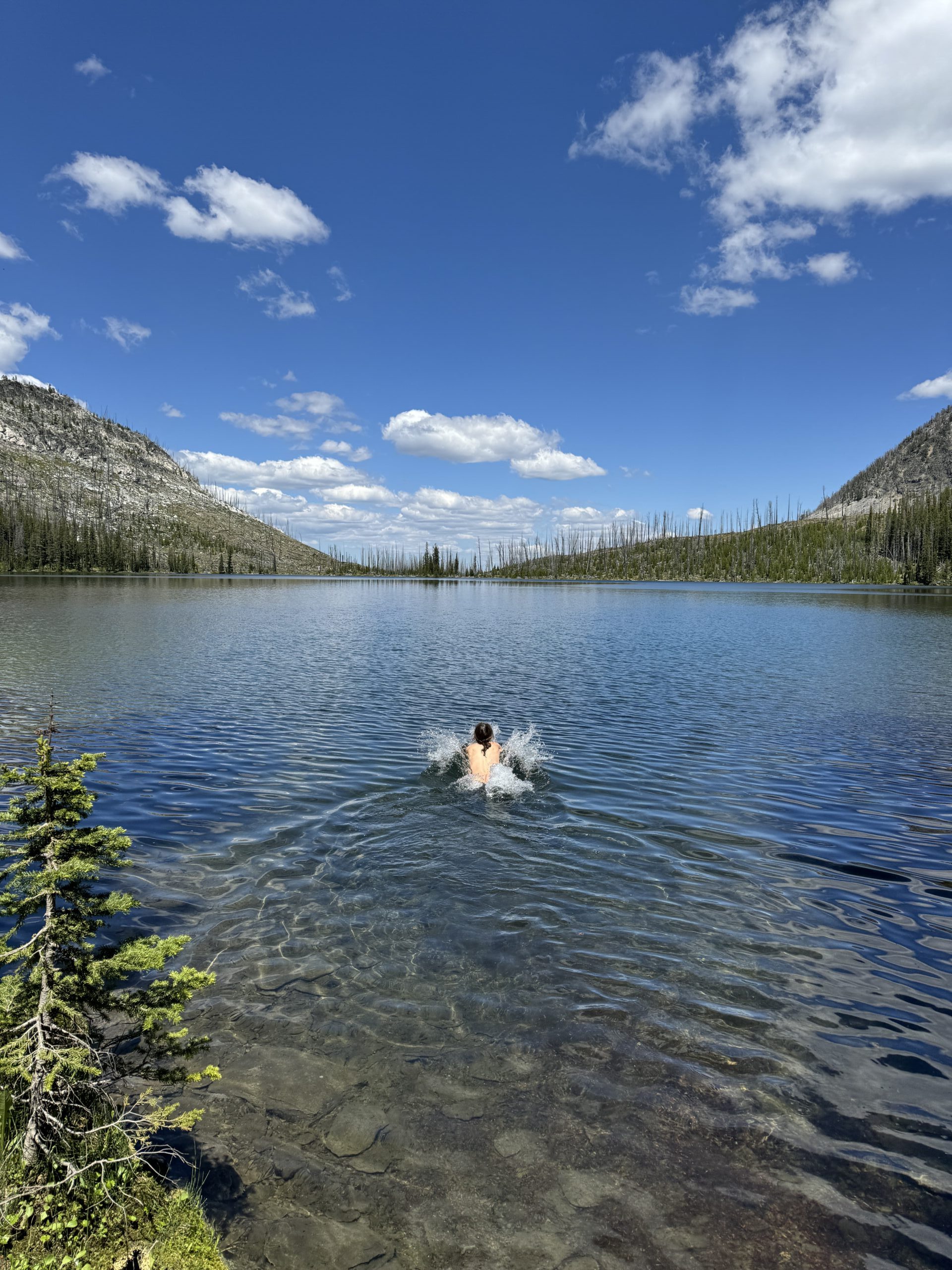 CDT: The Beauty of the Anaconda Pintler Wilderness - The Trek
