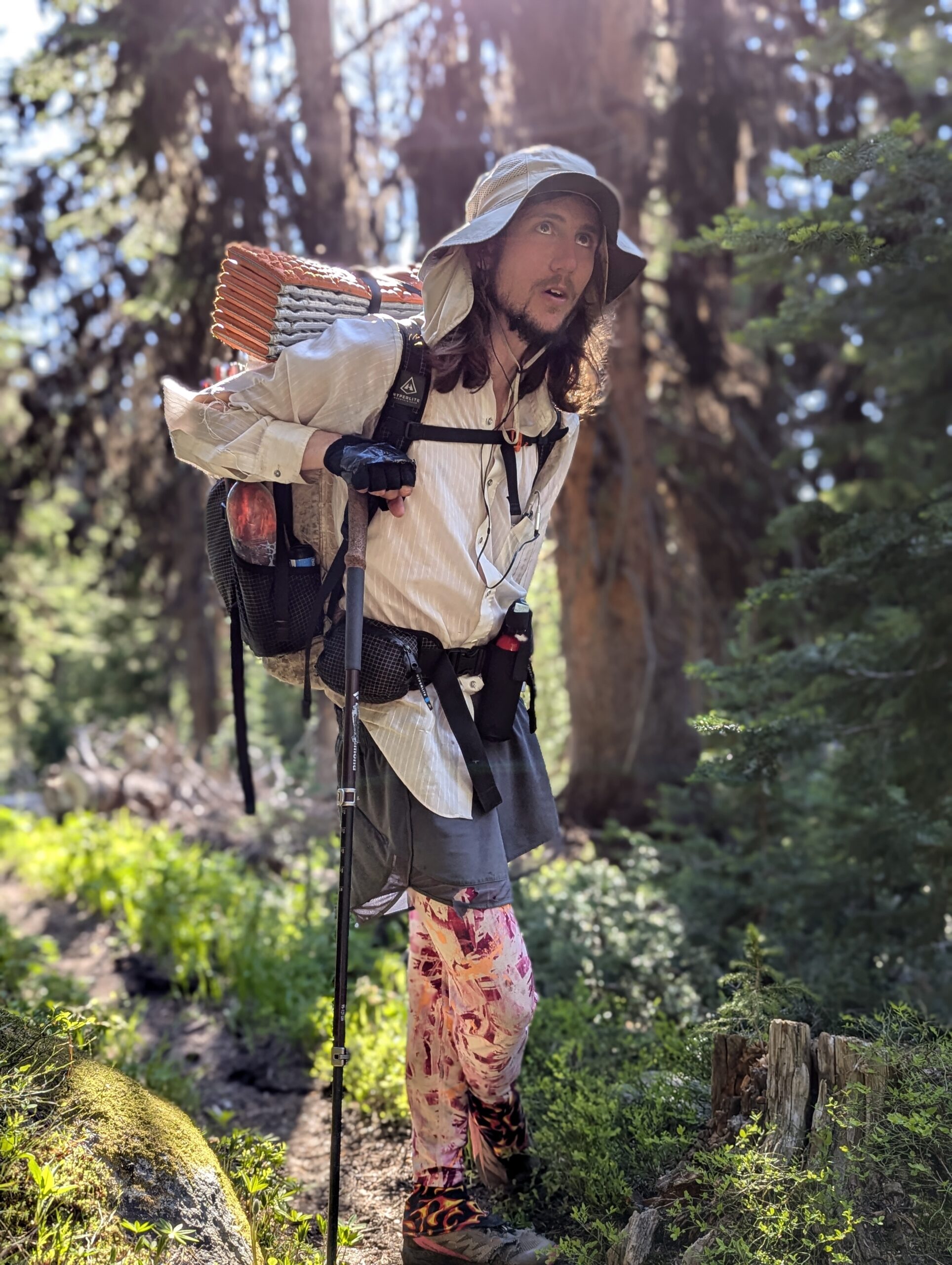 CDT: The Beauty of the Anaconda Pintler Wilderness - The Trek
