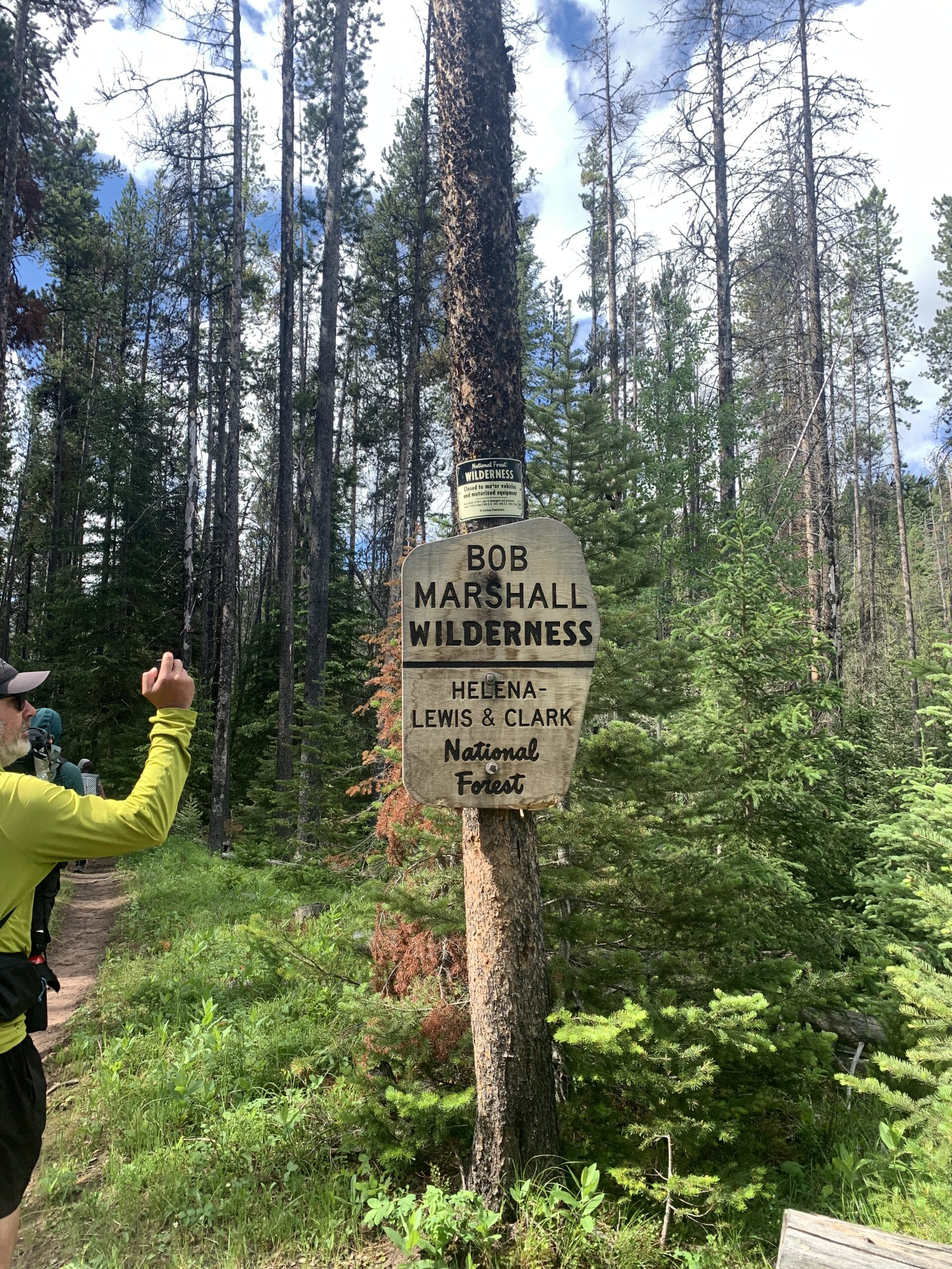 Bears, Mountain Lions, and Moose on Trail - The Trek