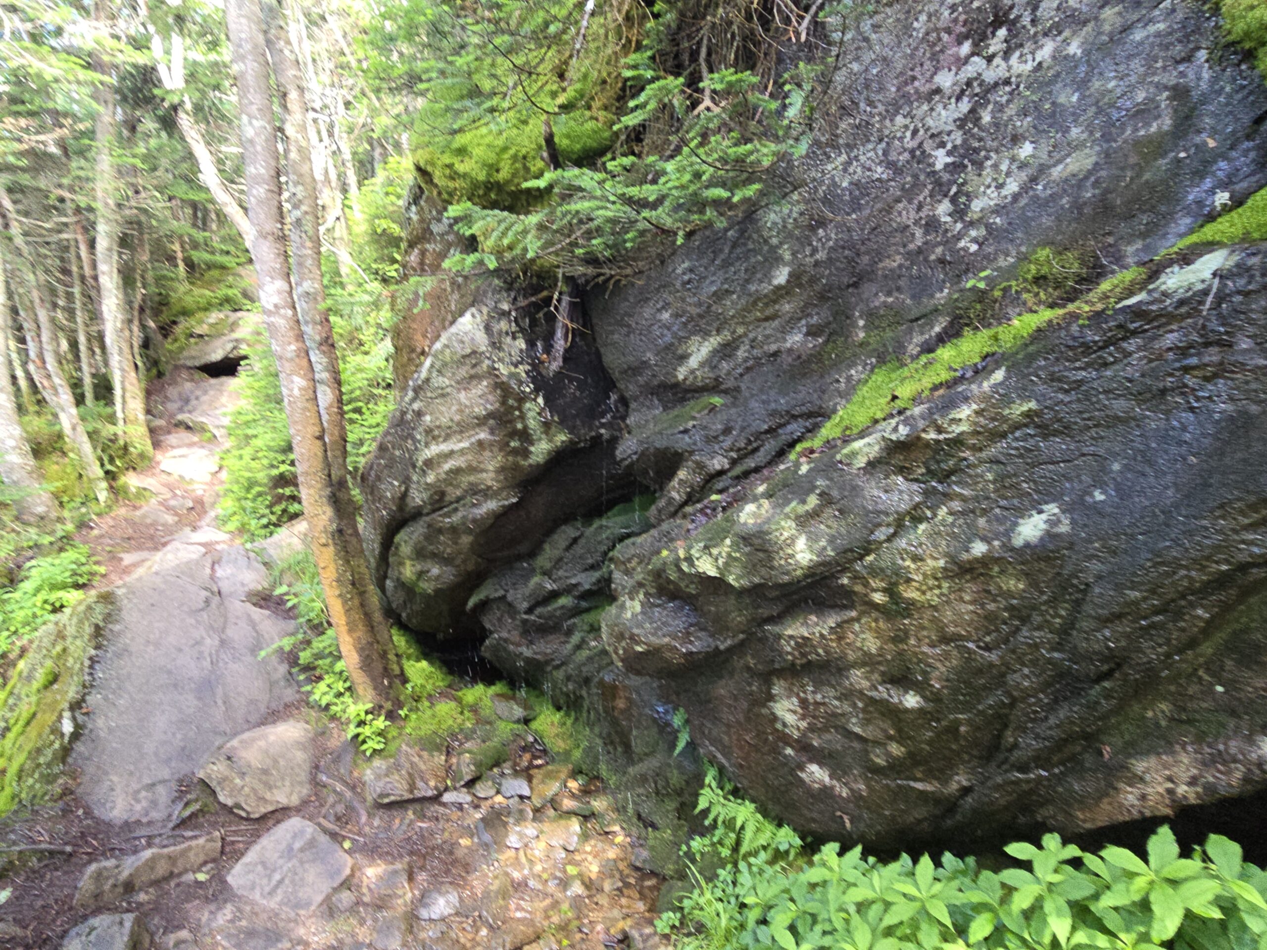 Why It’s All Worth It - Thru-Hiking the AT - The Trek