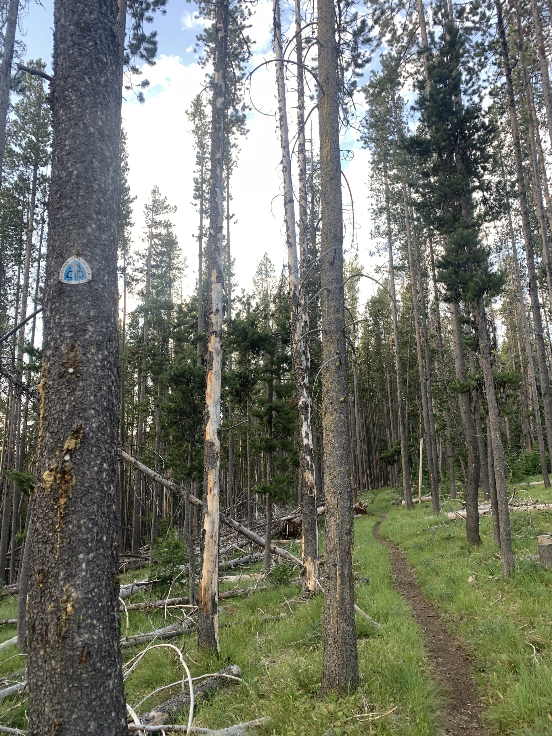 Gold Prospectors Give Good Trail Magic - The Trek